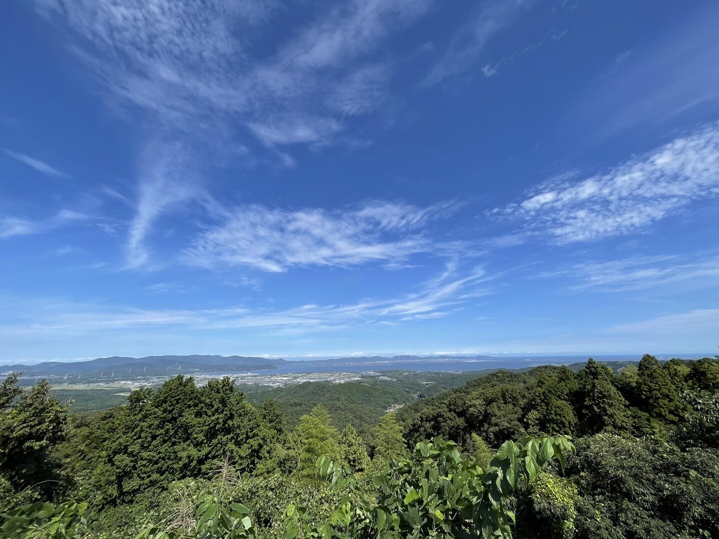 星上山 / なべ(ワンゲルOB)さんの京羅木山・星上山の活動データ | YAMAP / ヤマップ