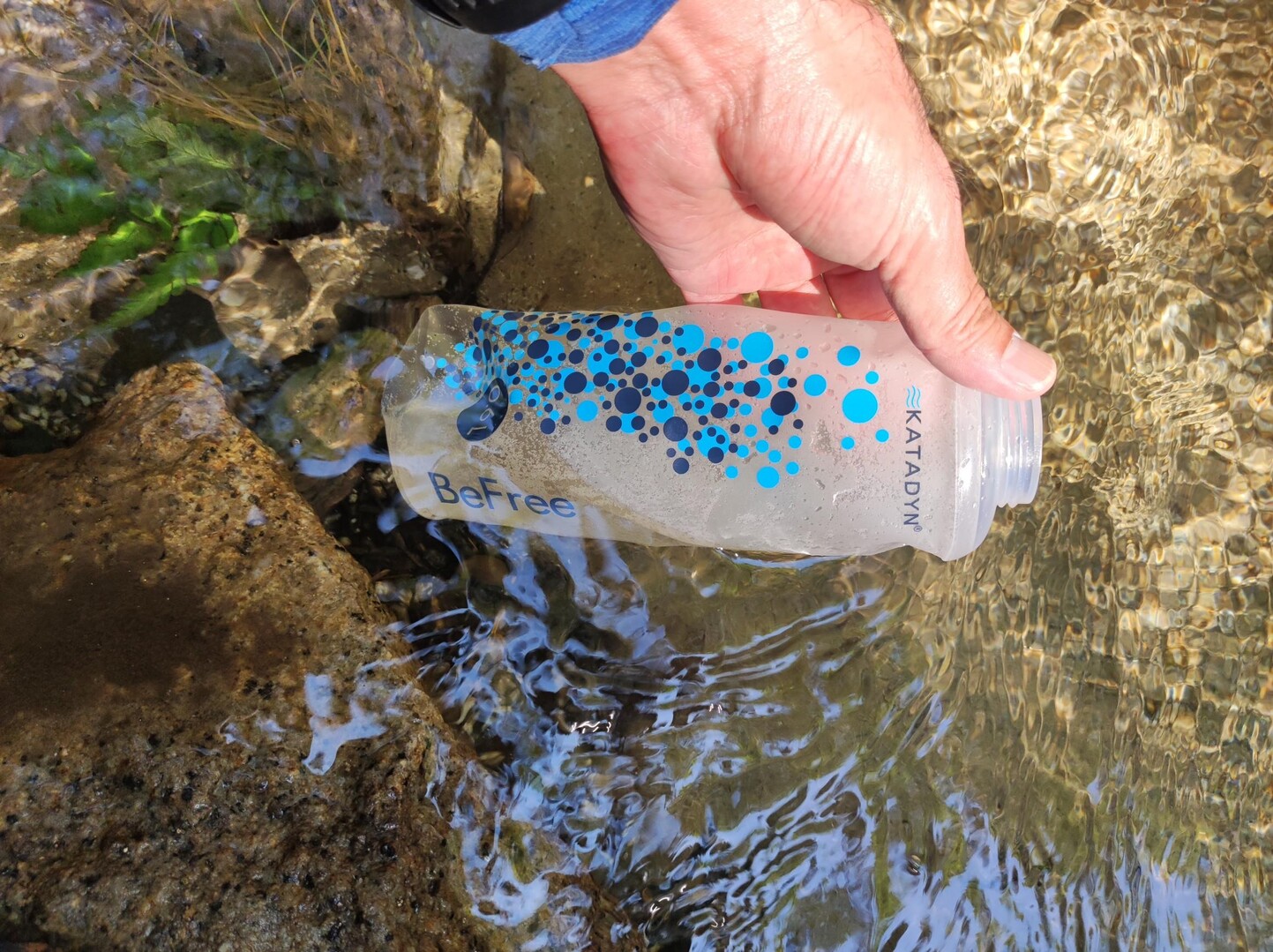 猿投山(雲興寺から) / konchanさんの猿投山・物見山の活動データ | YAMAP / ヤマップ