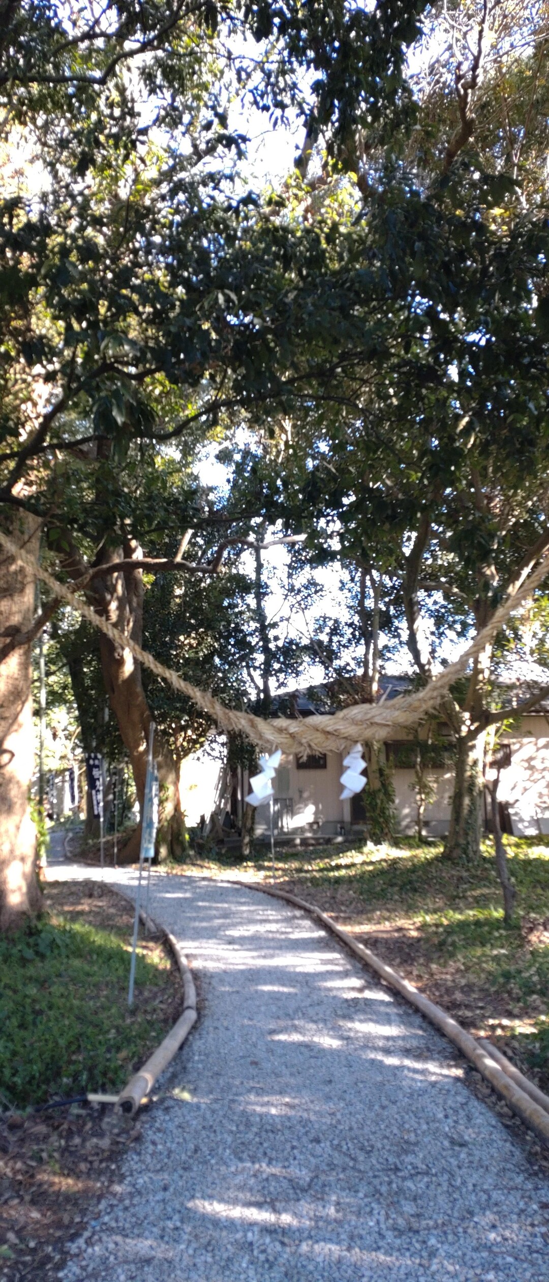 宮崎市恒久神社⛩️ 平穏を祈ります🙏... / chii さんのモーメント | YAMAP / ヤマップ