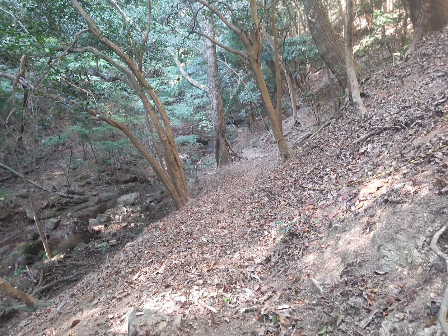 miyukyさんの投稿したフィールドメモ | YAMAP / ヤマップ