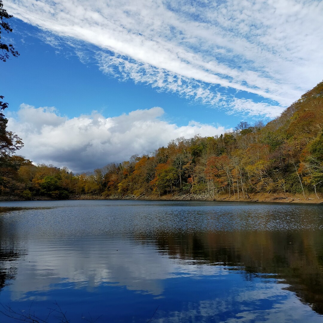 豊似湖 / saonさんのウォーキングの活動データ | YAMAP / ヤマップ