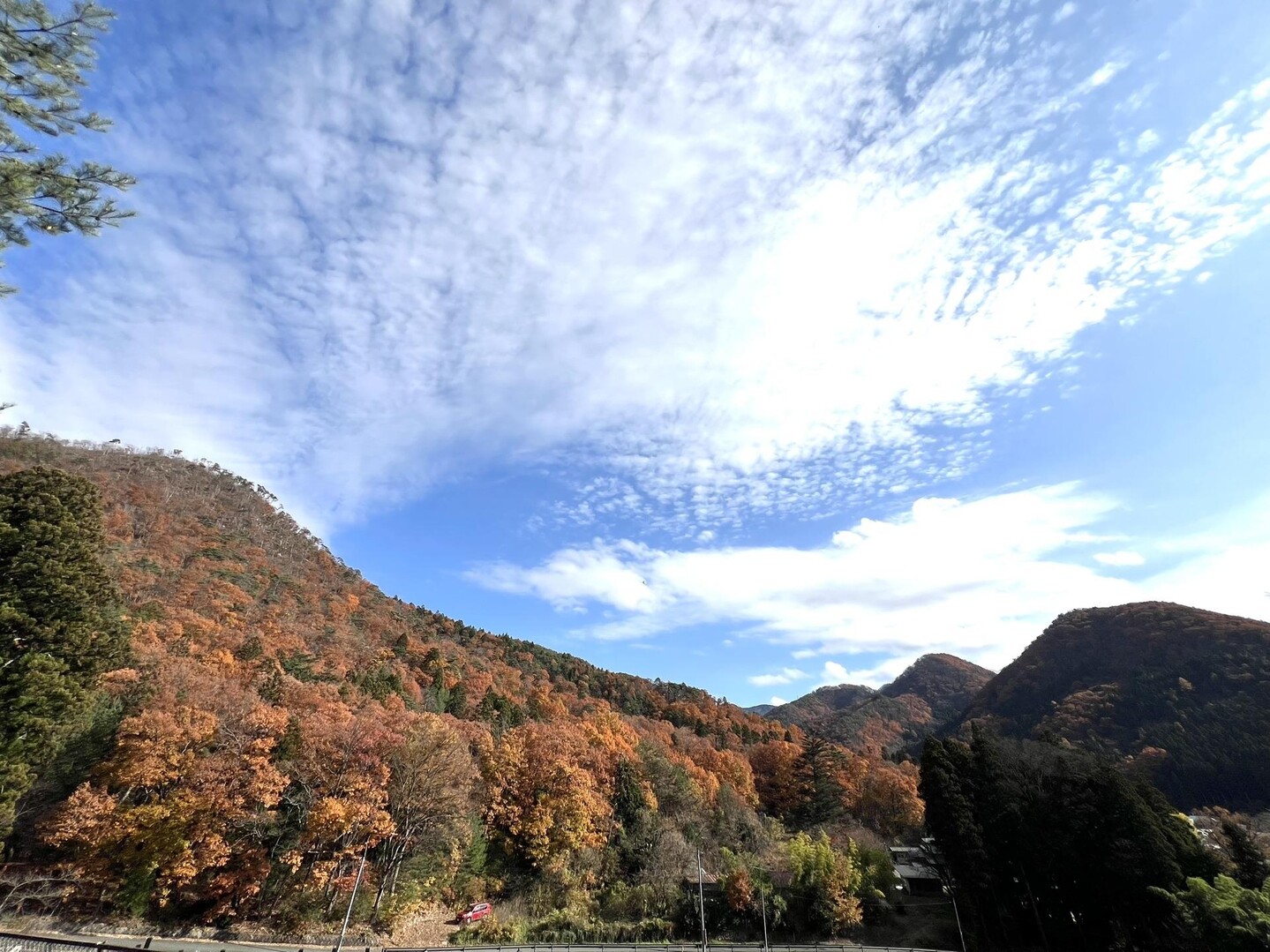 トレーニング兼ね🏃‍♂️サクッと千歳山周回٩( ᐛ )و / Muraさんの千歳山・猿岡山・戸神山の活動データ | YAMAP / ヤマップ