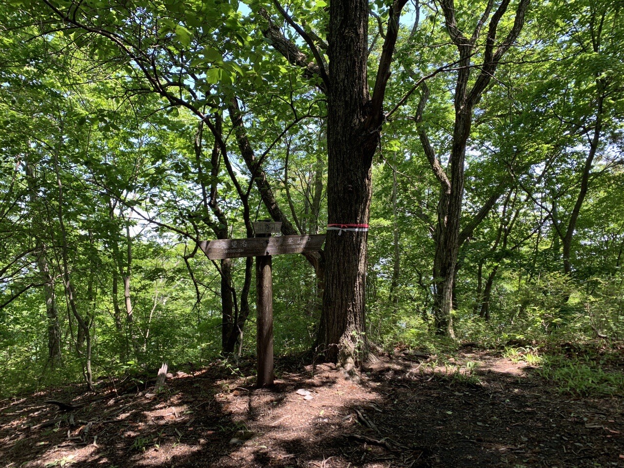 雨降山（あめふりやま）1012.6m / マ－坊さんのウォーキングの活動データ | YAMAP / ヤマップ