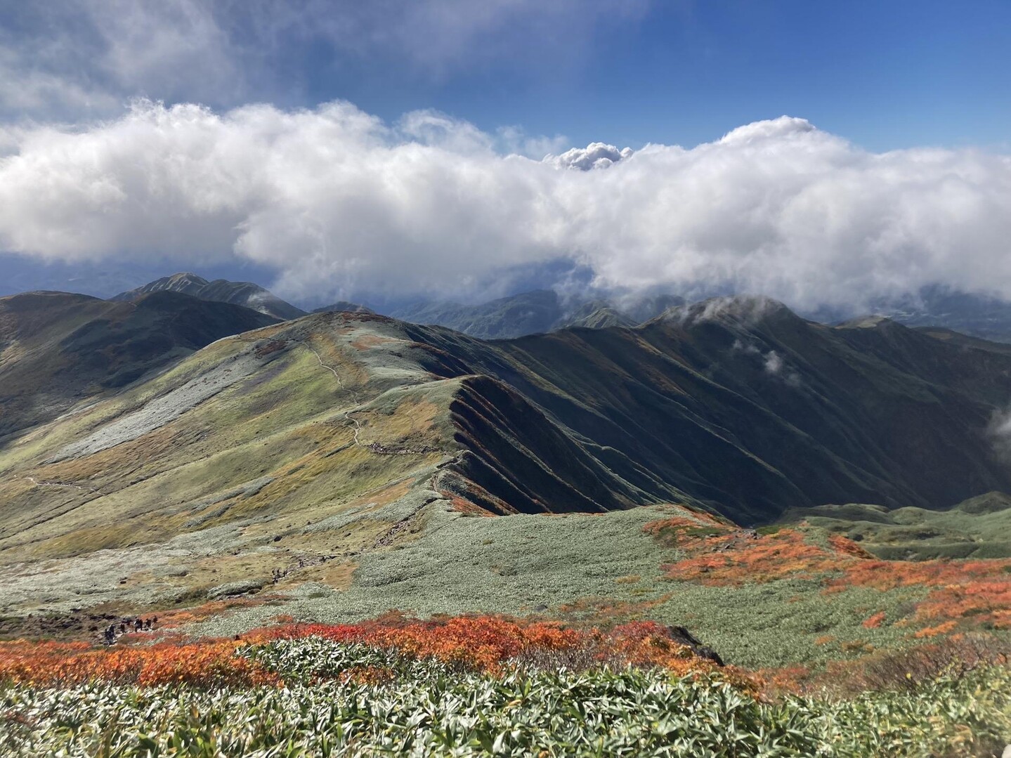 姥ヶ岳・柴灯森・月山 / ak,snowさんの月山の活動データ | YAMAP / ヤマップ