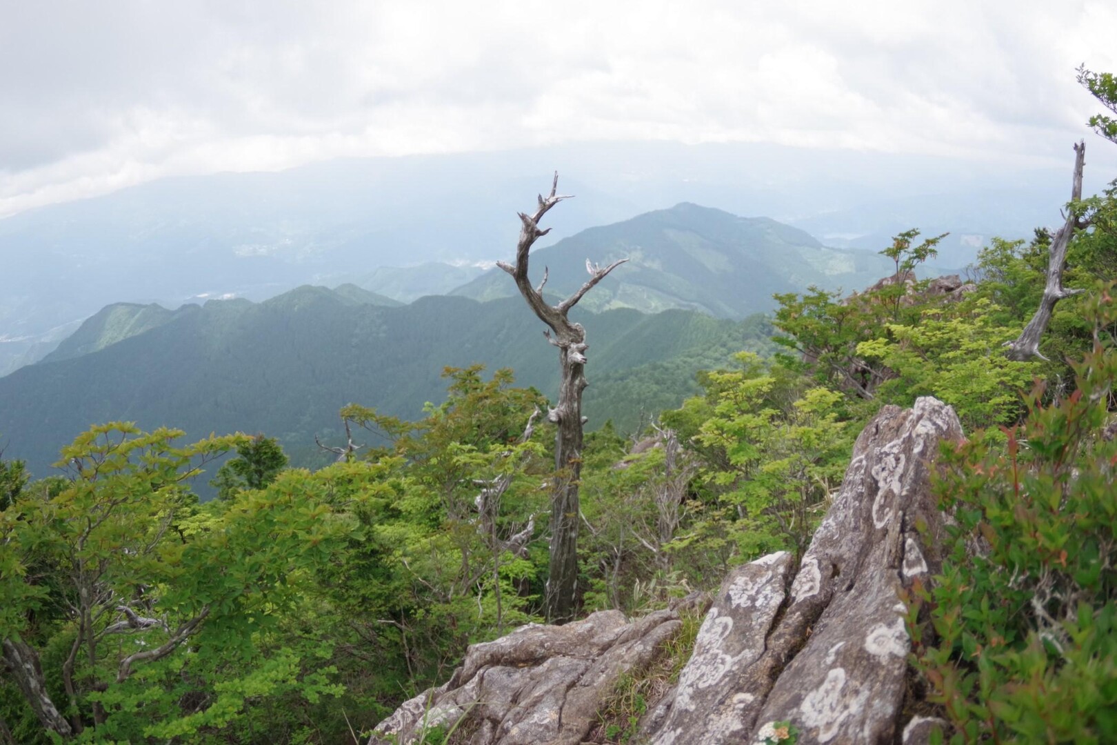 一年ぶり白髪山（冬の瀬コース） / でこぼこMamoさんの白髪山（奥白髪山）・工石山（奥工石山）の活動データ | YAMAP / ヤマップ