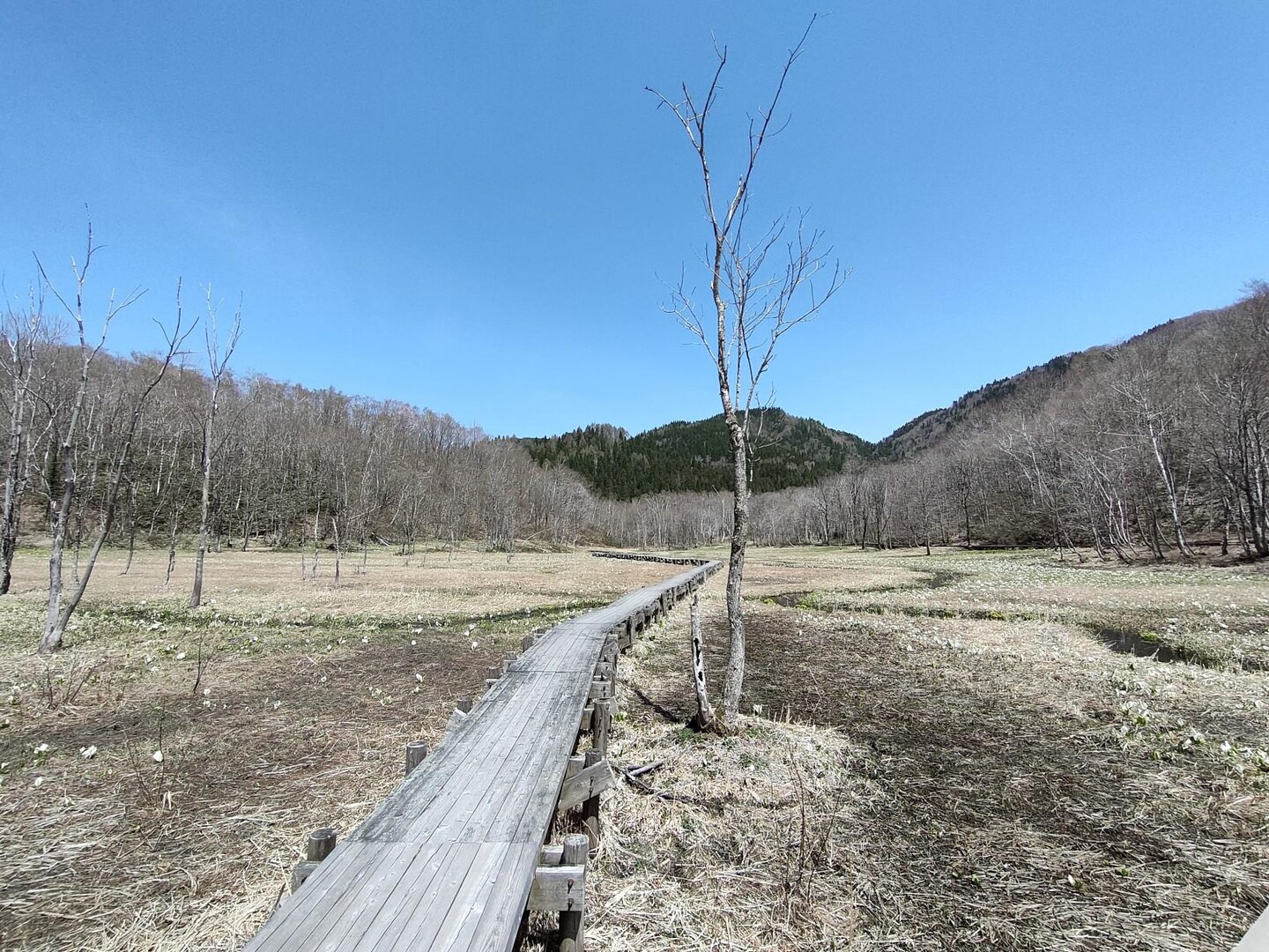 子守りDAY。冬季通行止め解除されたので... / SUMさんのモーメント | YAMAP / ヤマップ