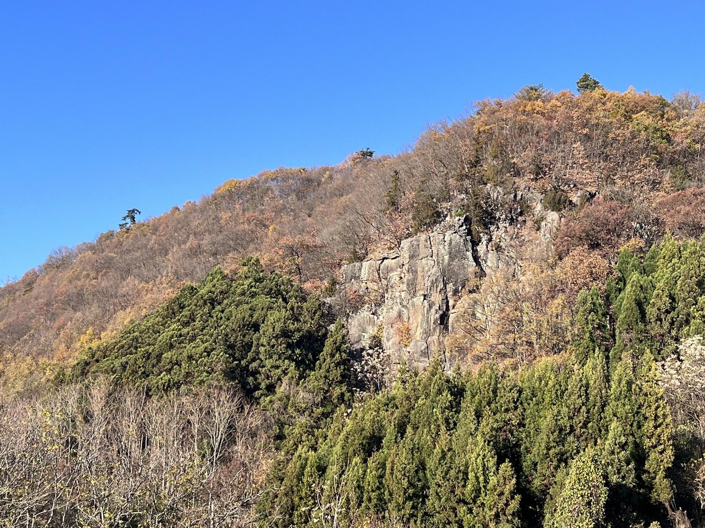 仕事が早く終わったから少しだけ岩を触りに... / NABEさんのモーメント | YAMAP / ヤマップ