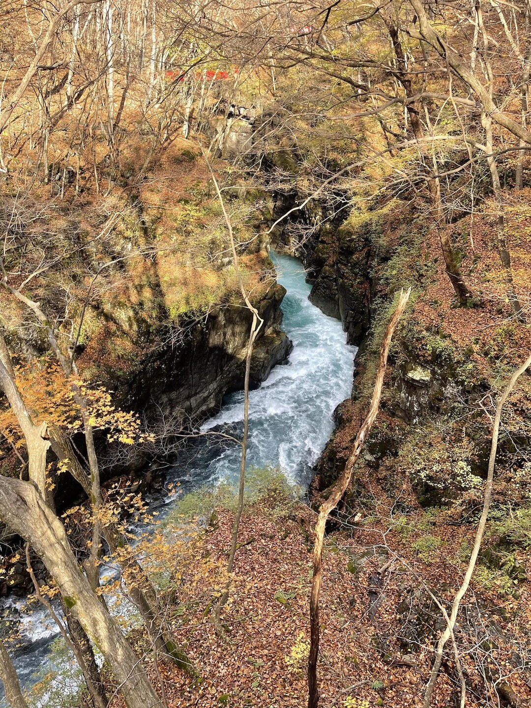 岩櫃山 / ユーザーZawさんの岩櫃山・薬師岳・吾嬬山の活動データ | YAMAP / ヤマップ