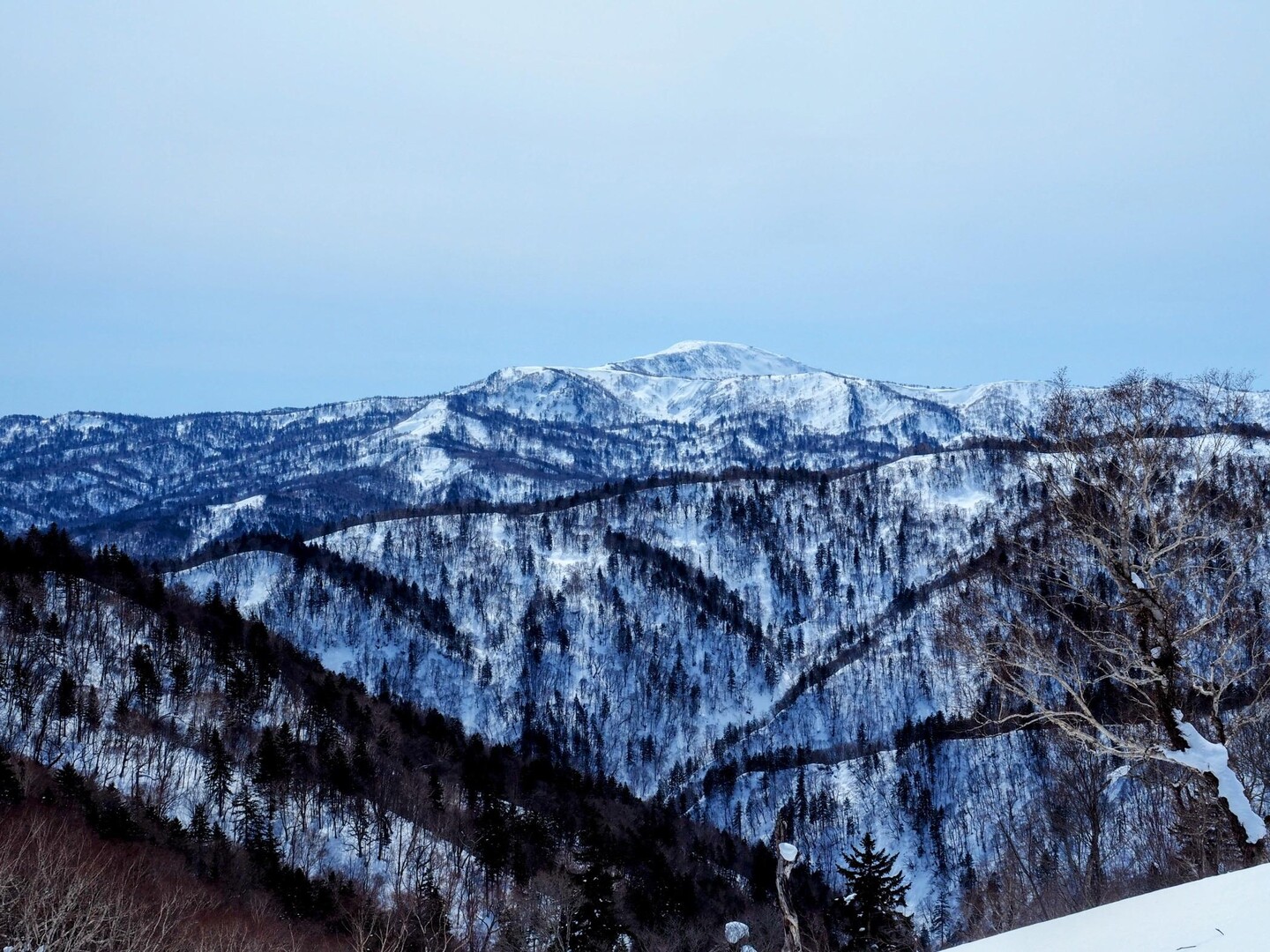 毒矢峰・奥毒矢峰は2度目でした笑 / rucolaさんの余市岳・定山渓天狗岳の活動データ | YAMAP / ヤマップ