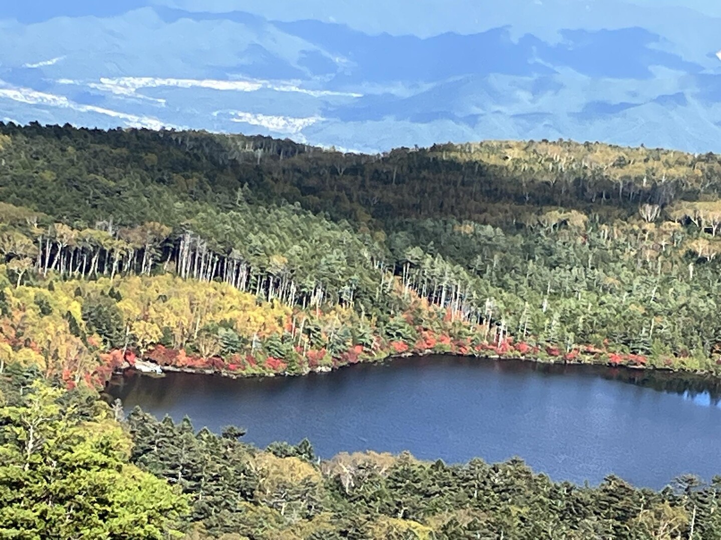 ニュウ・中山 / rikuさんの八ヶ岳（赤岳・硫黄岳・天狗岳）の活動データ | YAMAP / ヤマップ