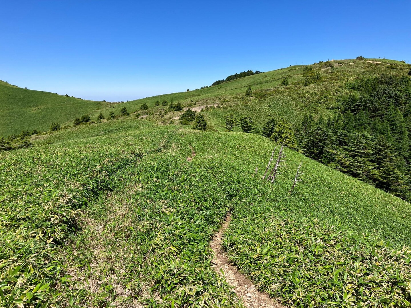 神坂山・富士見台 / yamazさんの恵那山・大判山・神坂山の活動データ | YAMAP / ヤマップ