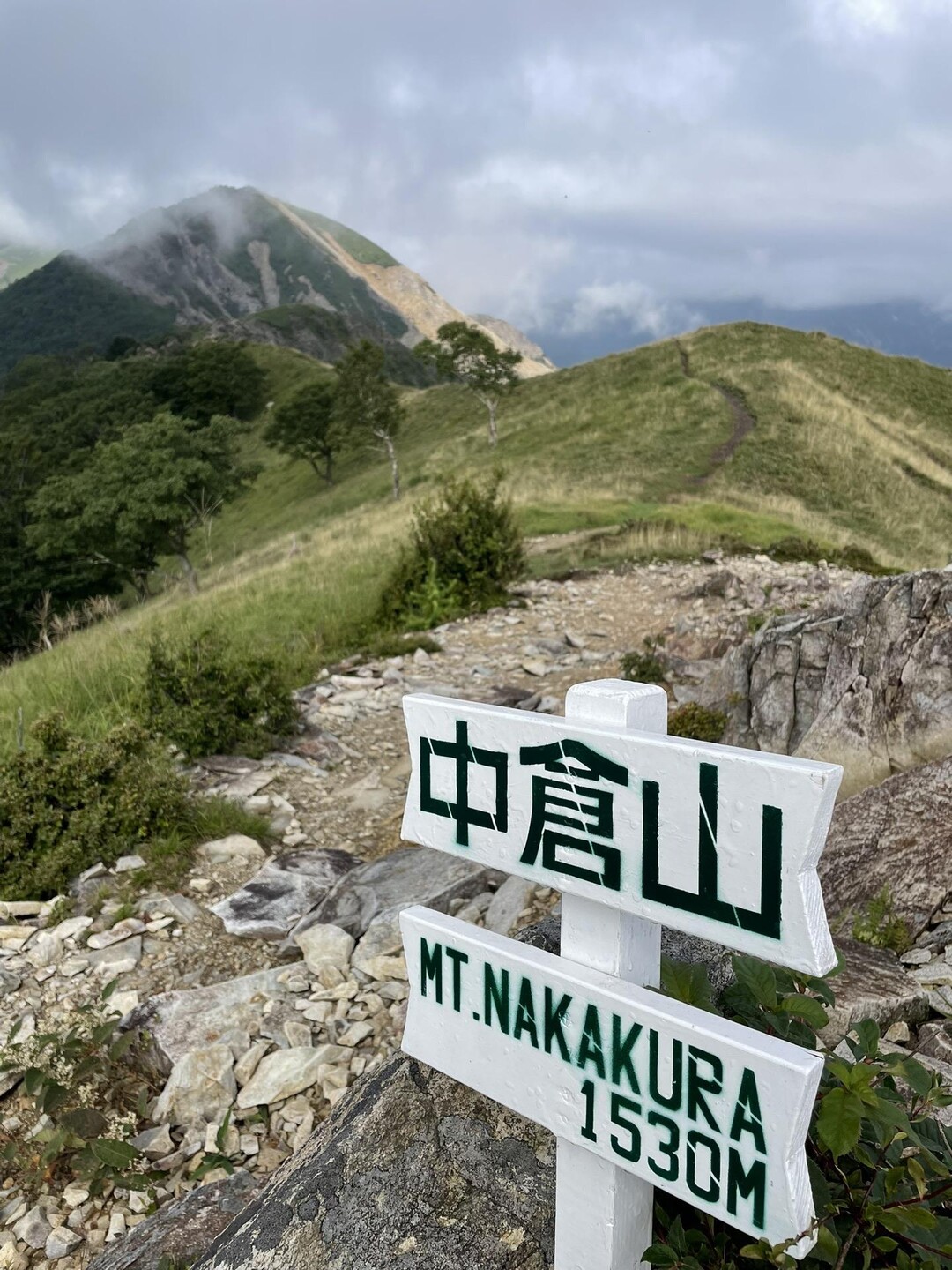 孤高のブナ(中倉山) / minako.さんの社山・半月山の活動データ | YAMAP / ヤマップ