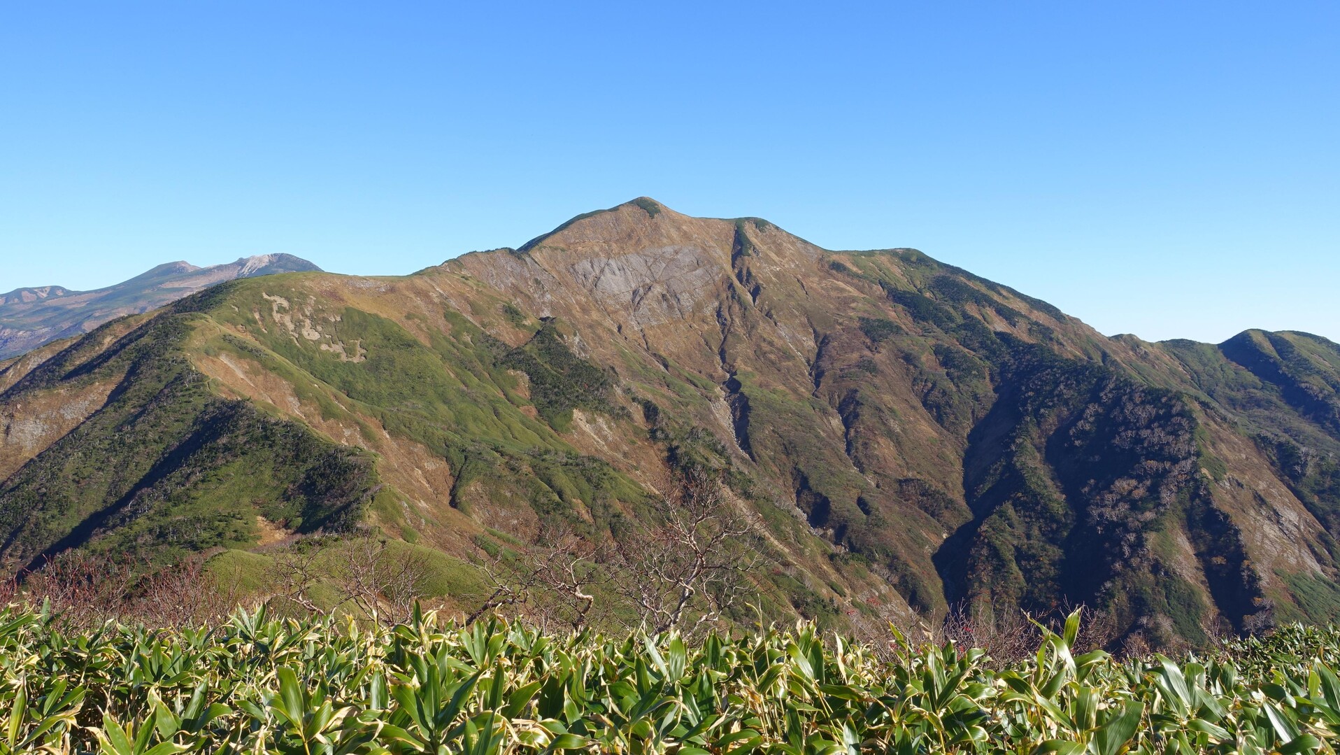 美濃禅定道 別山 / TJさんの白山・別山・銚子ヶ峰の活動データ | YAMAP / ヤマップ