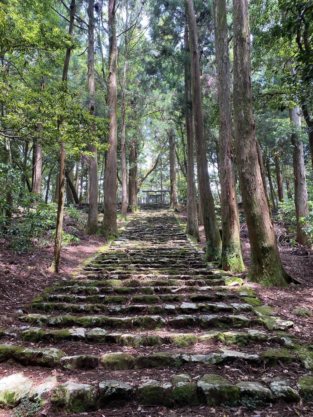 見どころ満載@横倉山 / ko_h5kwさんの横倉山の活動データ | YAMAP / ヤマップ