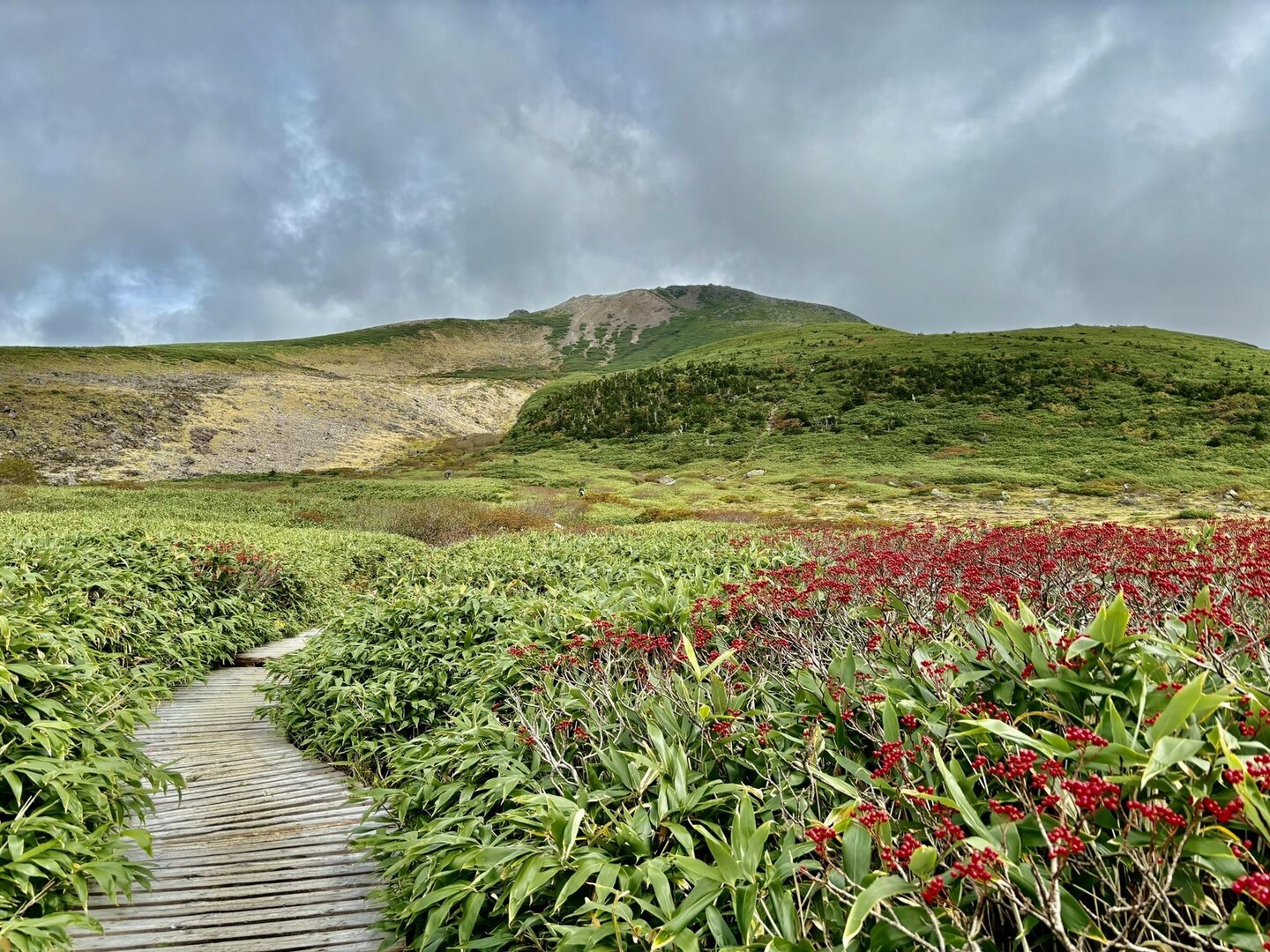白山 1泊2日(白山雷鳥荘泊) / nonpui(ノンプイ)さんの白山・別山・銚子ヶ峰の活動データ | YAMAP / ヤマップ
