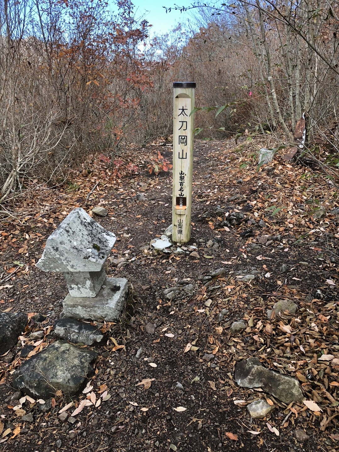 太刀岡山 / e_kuneさんの茅ヶ岳・金ヶ岳・太刀岡山の活動データ | YAMAP / ヤマップ