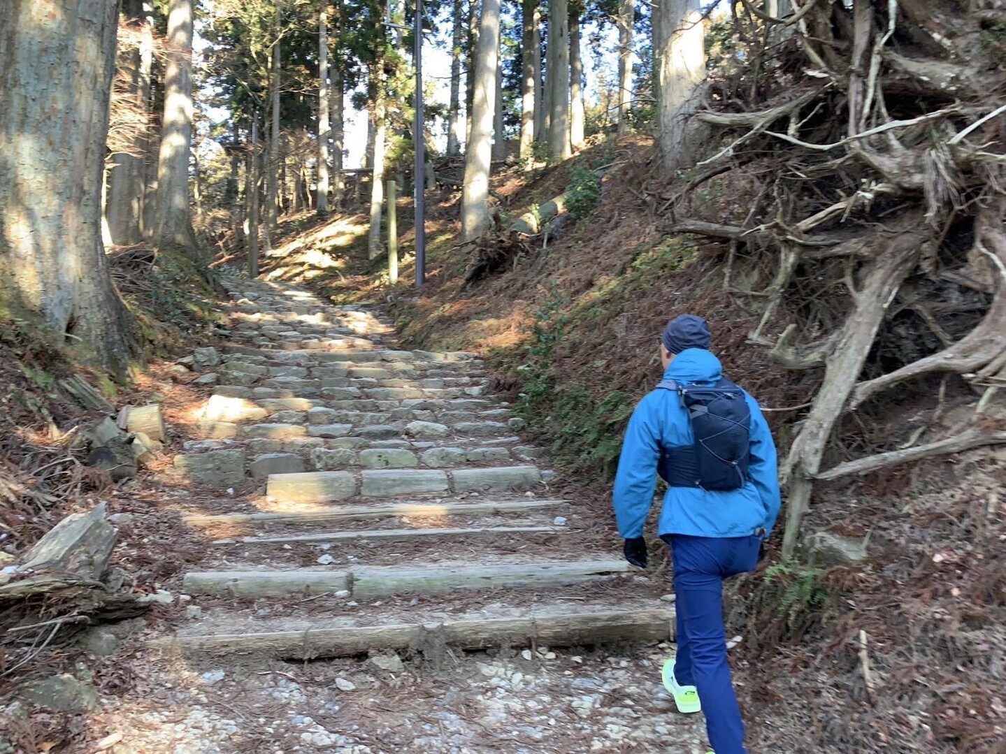 京都トレイル 西山で登り納め ️ / tamiwaさんの京都一周トレイルの活動データ | YAMAP / ヤマップ