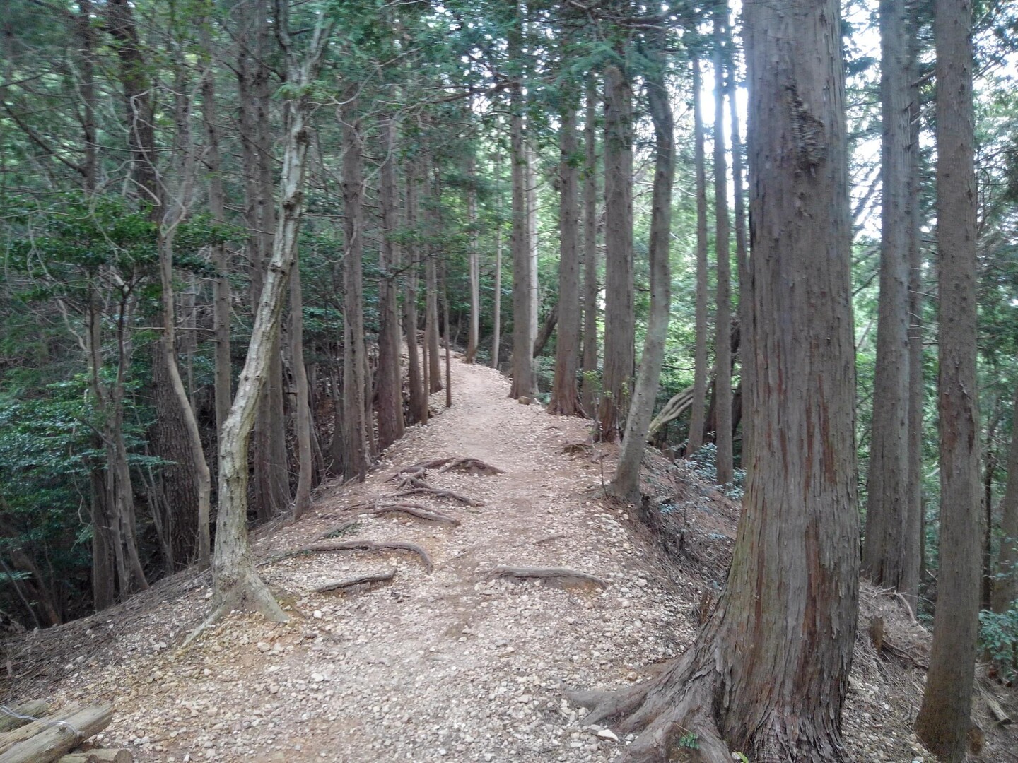R6-26 多度山 / nob3さんの多度山・美濃松山・石津御嶽の活動データ | YAMAP / ヤマップ