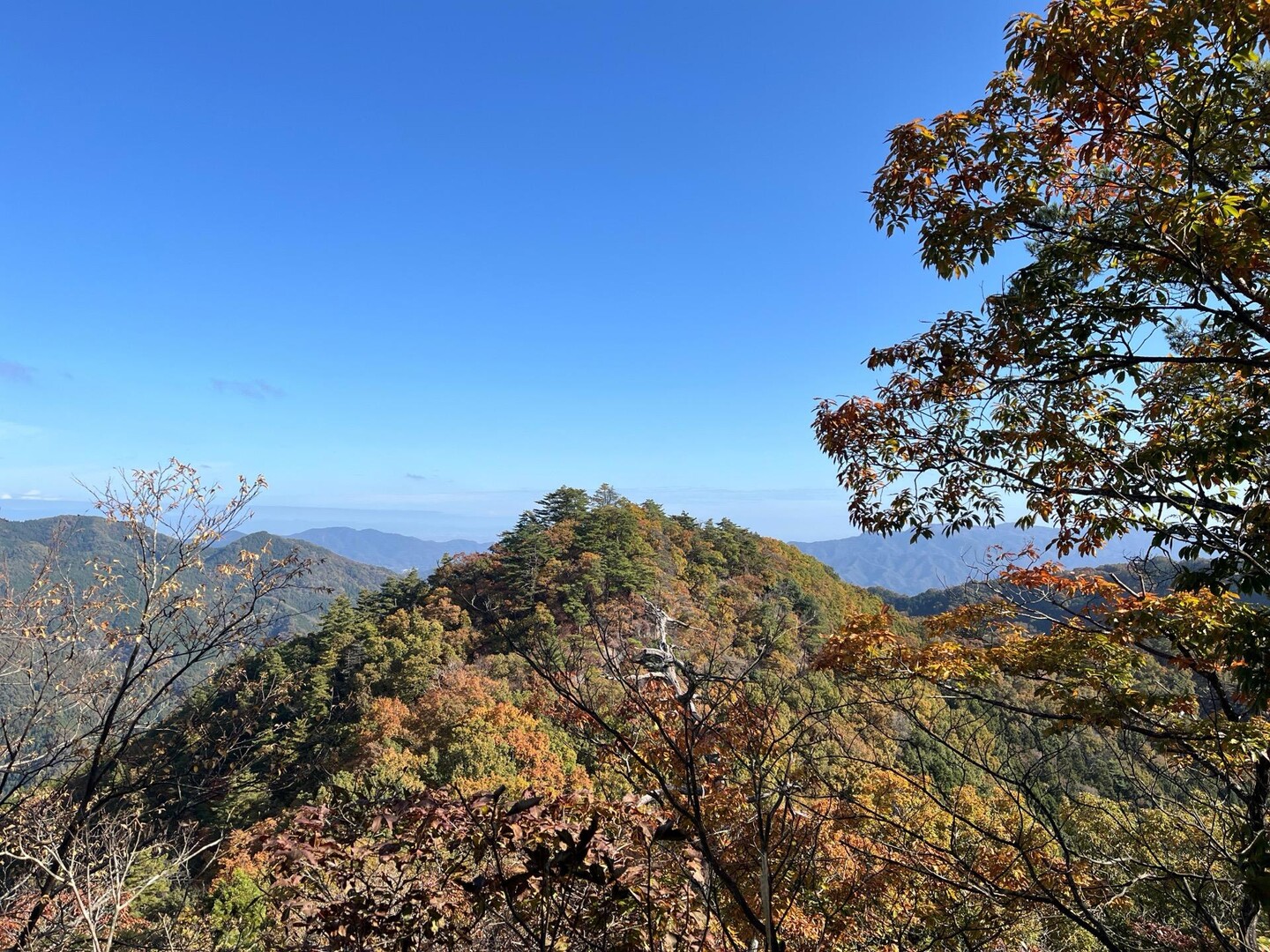 皆野アルプス♬ / harumiさんの城峯山・破風山の活動データ | YAMAP / ヤマップ