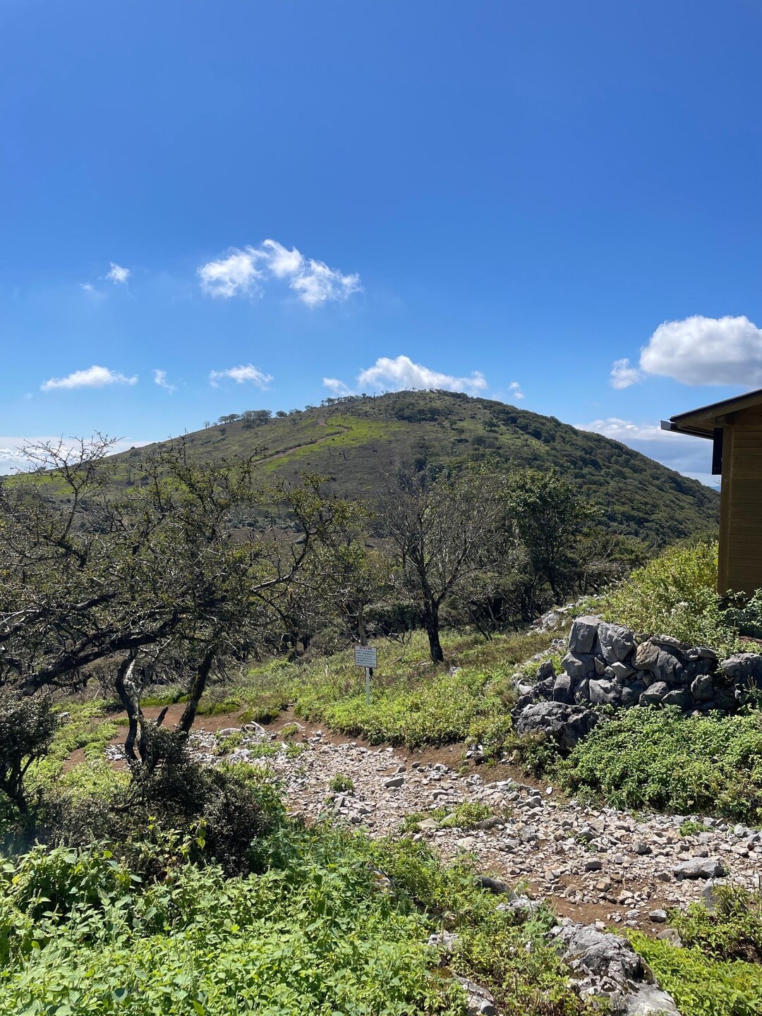 藤原岳・天狗岩 / T1333さんの藤原岳・御池岳の活動データ | YAMAP / ヤマップ