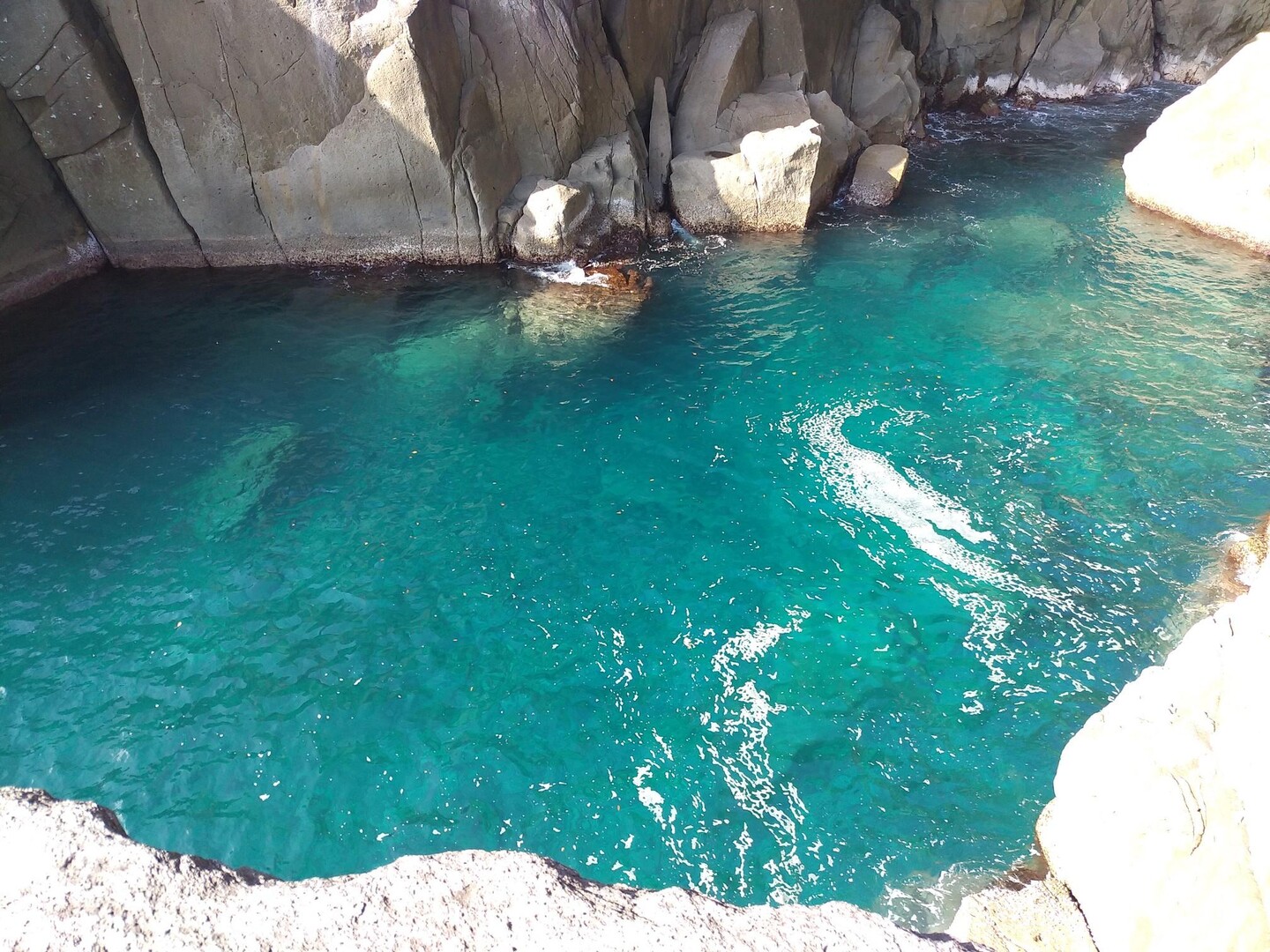 頂山＆オハイ / nobu2🦩さんの八鬼山・頂山・オハイの活動データ | YAMAP / ヤマップ