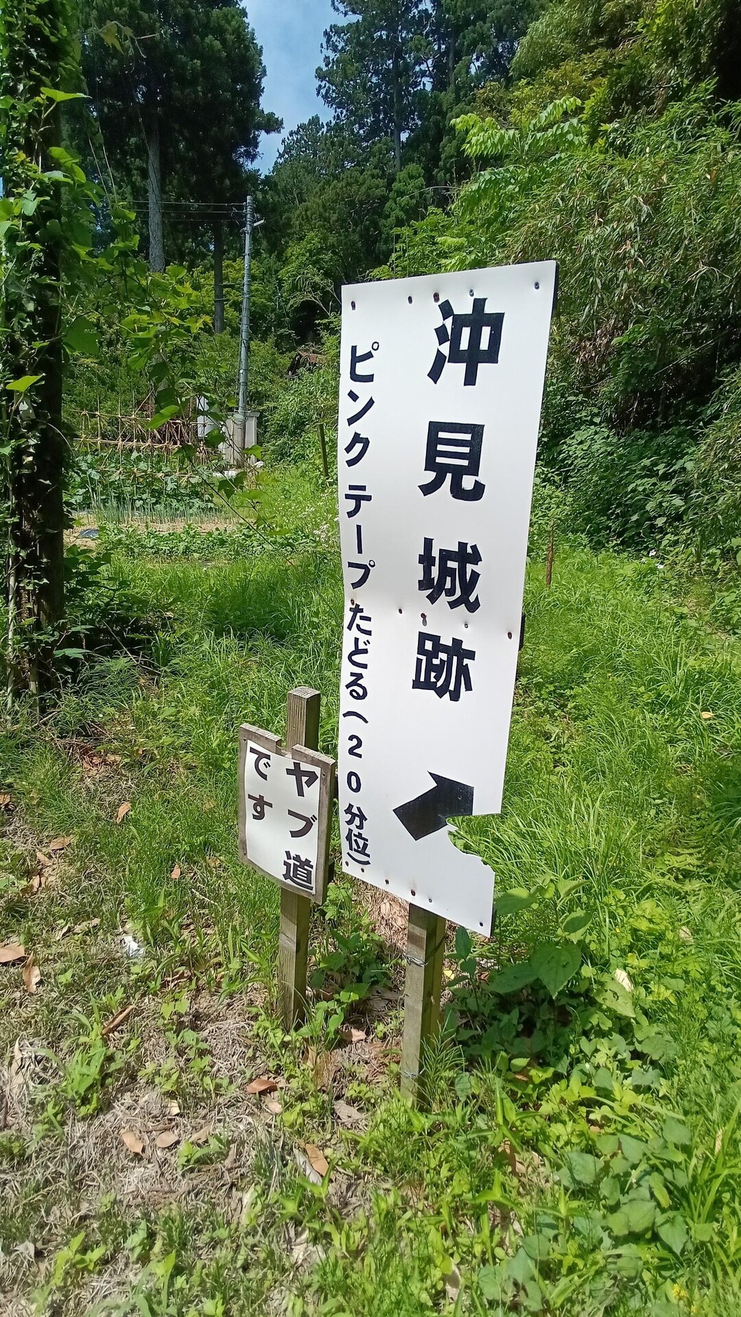 砦殿山(沖見城跡) / kumaさんの春日山の活動データ | YAMAP / ヤマップ