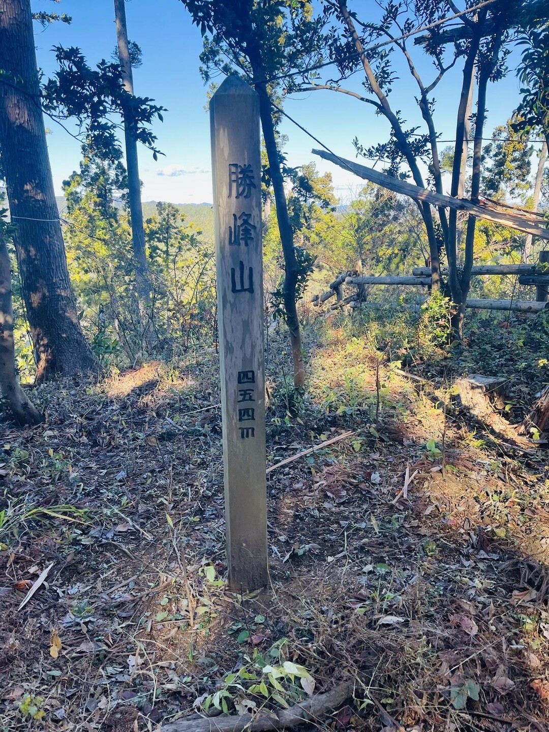 地蔵山・ためぐそ山・深沢山・深沢山北峯・勝峰山 / komakusaさんの赤ぼっこの活動データ | YAMAP / ヤマップ