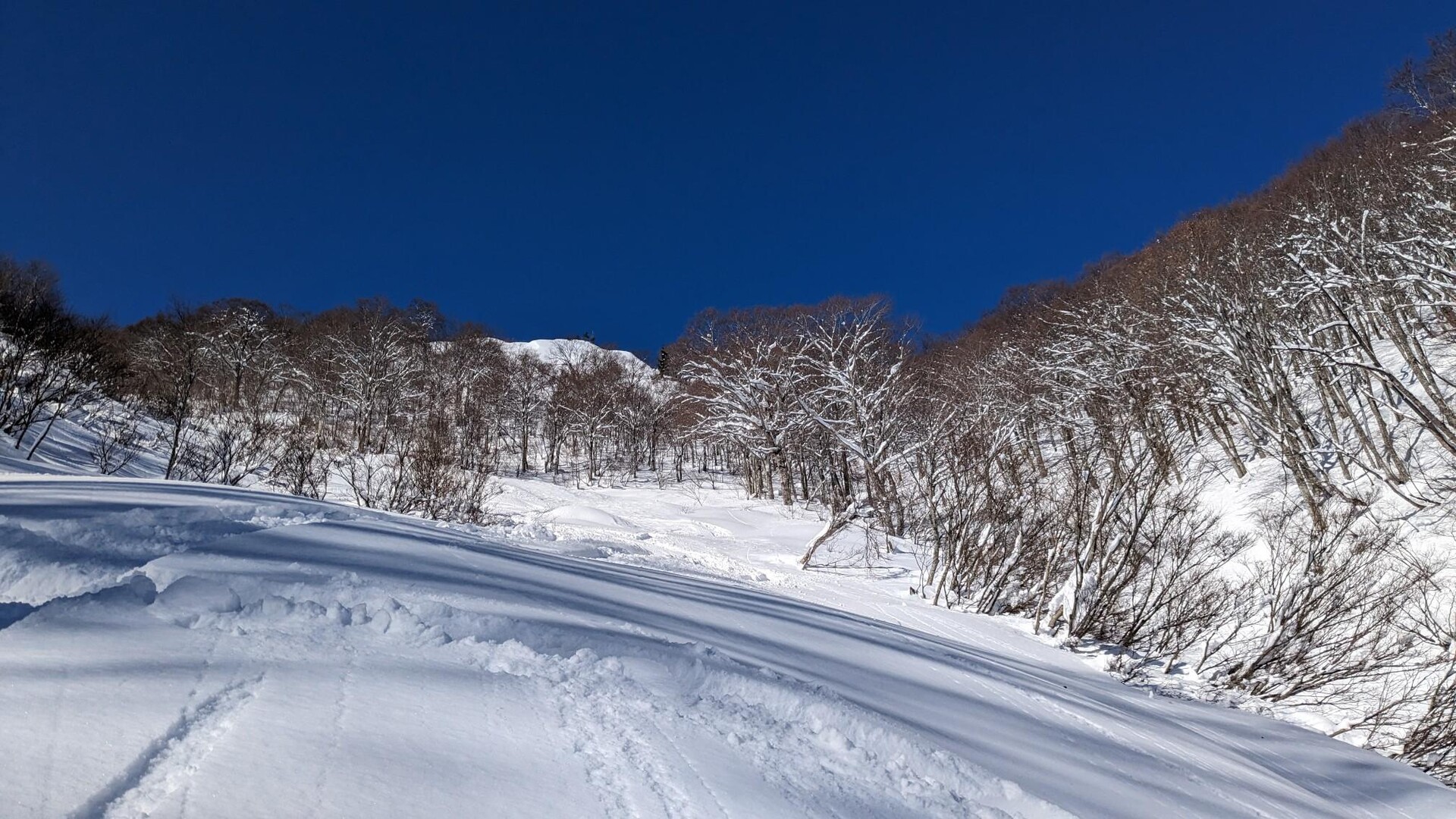 野谷荘司山・赤頭山 東谷BC / U助さんの三方岩岳・妙法山の活動データ | YAMAP / ヤマップ