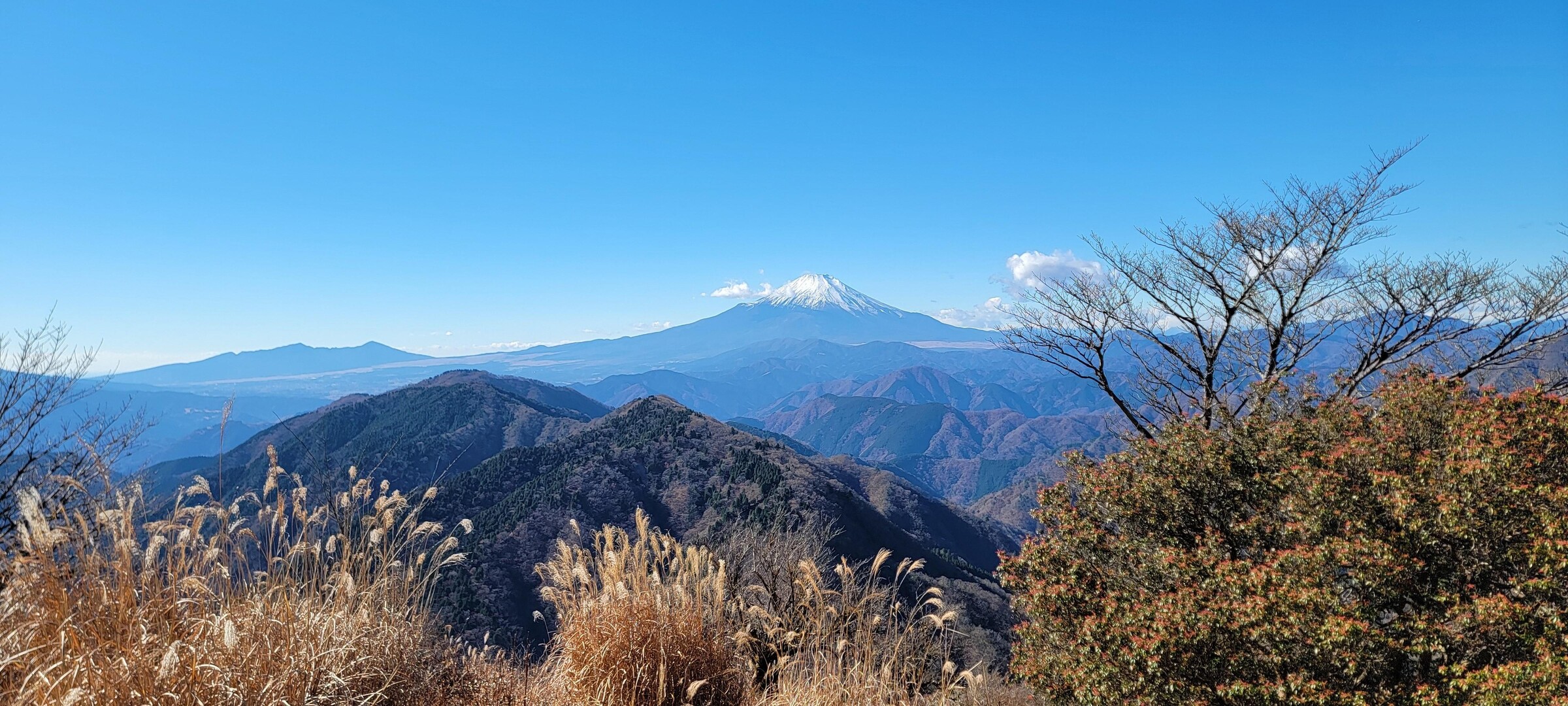 ヤマップ233山目 丹沢に行きました。 / せいくんさんの塔ノ岳・丹沢山・蛭ヶ岳の活動データ | YAMAP / ヤマップ