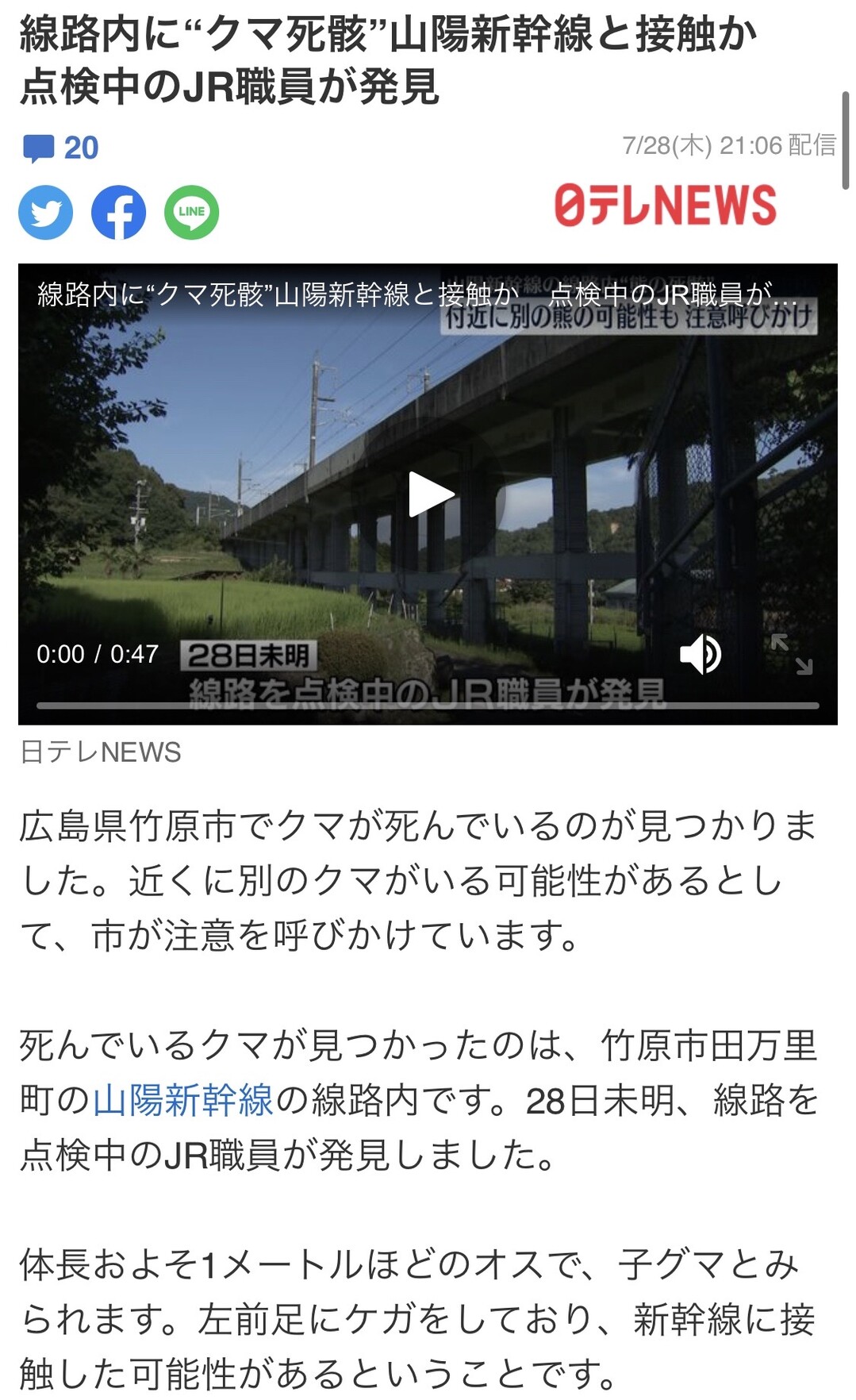 仔熊ちゃんには気の毒な出来事だけど、確実... / KUMAP320。さんのモーメント | YAMAP / ヤマップ