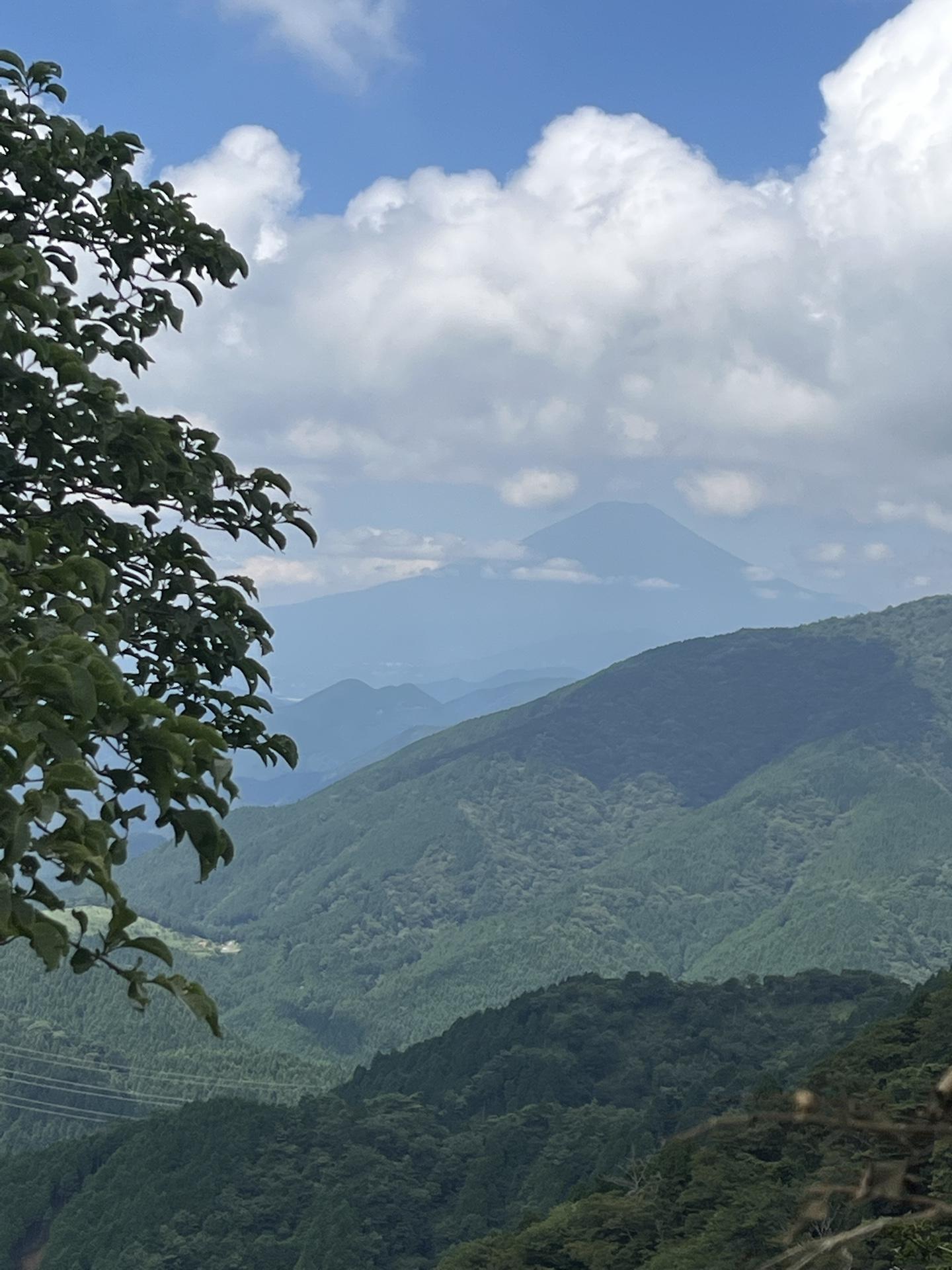 大山(見晴台〜女坂) / kanさんの大山の活動日記 | YAMAP / ヤマップ