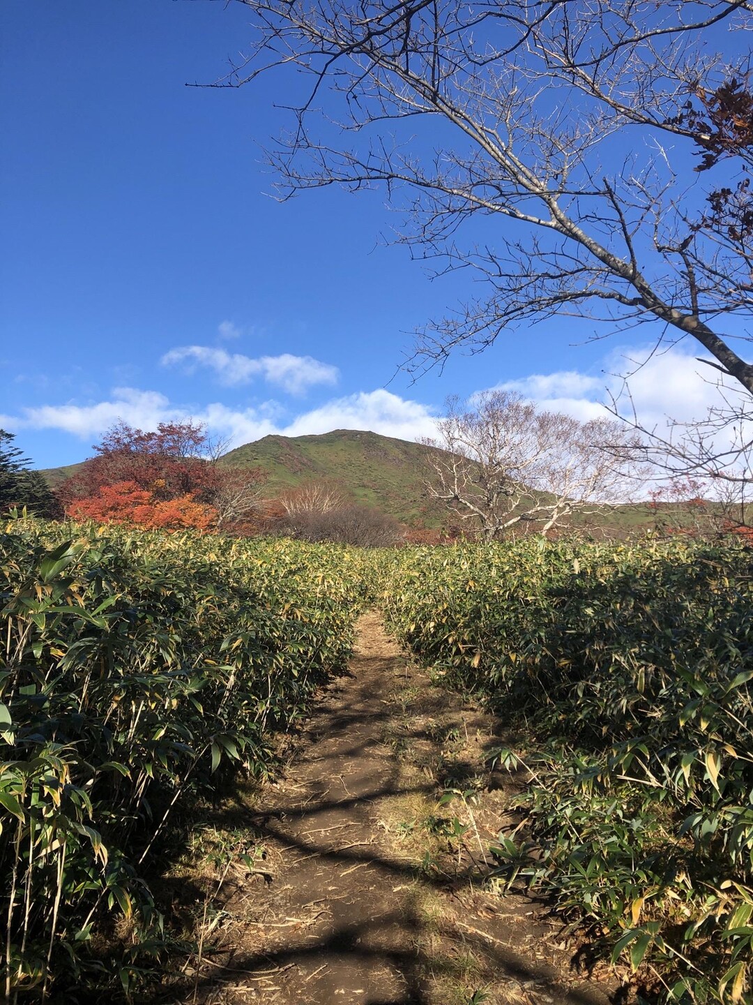 三本槍岳と朝日岳 - 中大倉尾根を登る / aqさんの茶臼岳（那須岳）・三本槍岳・赤面山の活動データ | YAMAP / ヤマップ