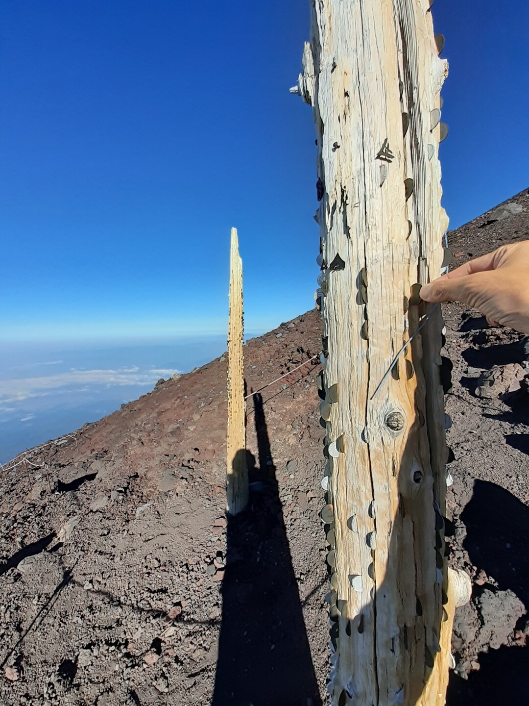 ko usさんの投稿したフィールドメモ | YAMAP / ヤマップ