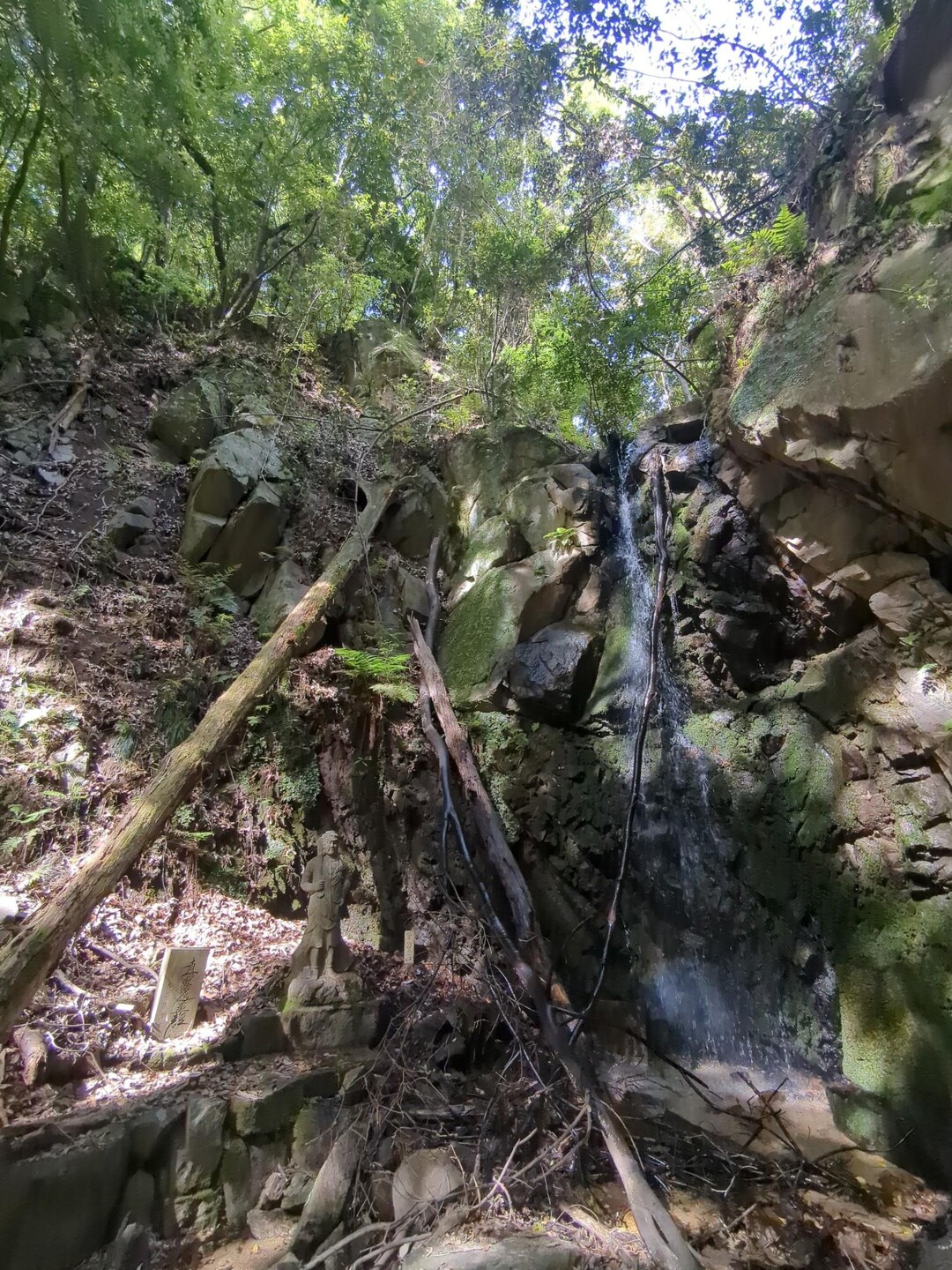 EBIさんの投稿したフィールドメモ | YAMAP / ヤマップ