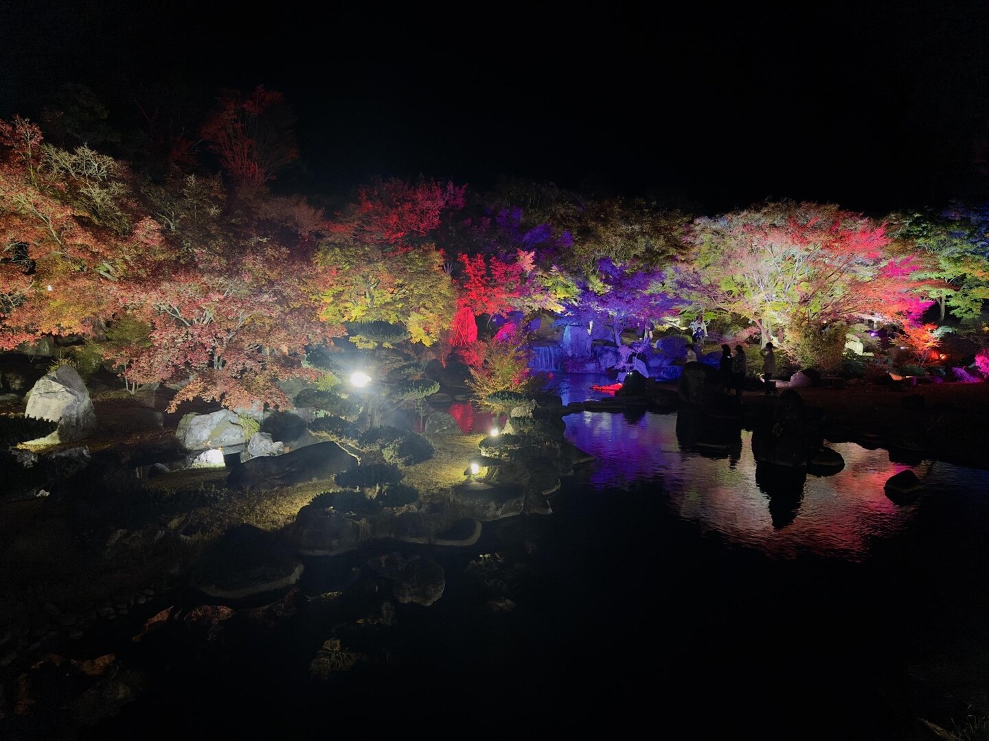 秋🍂到来 耶馬溪ライトアップ始まってま... / Haroldさんのモーメント | YAMAP / ヤマップ