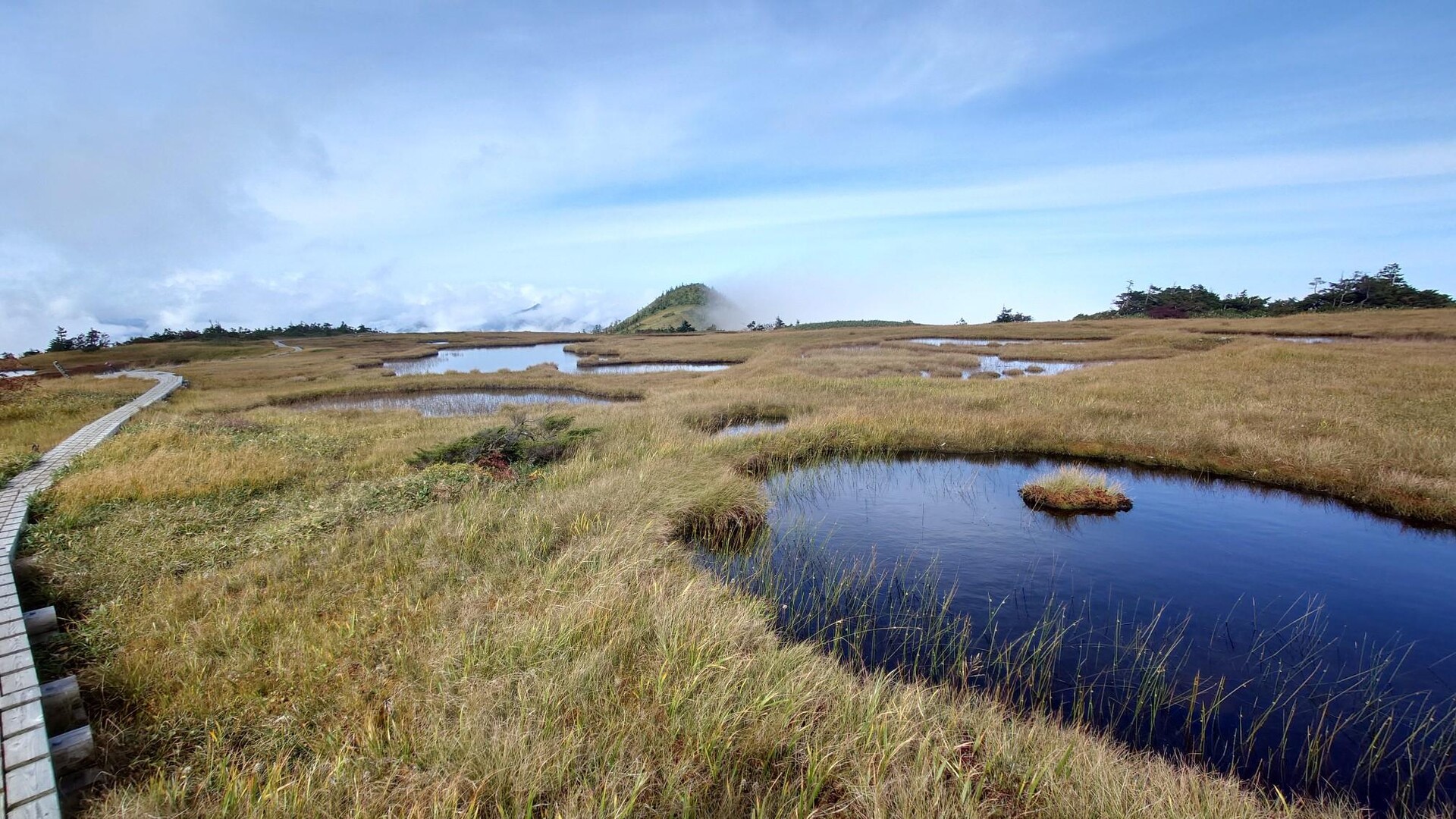 苗場山20240929 / ゆきちゃんさんの苗場山・赤倉山・佐武流山の活動データ | YAMAP / ヤマップ