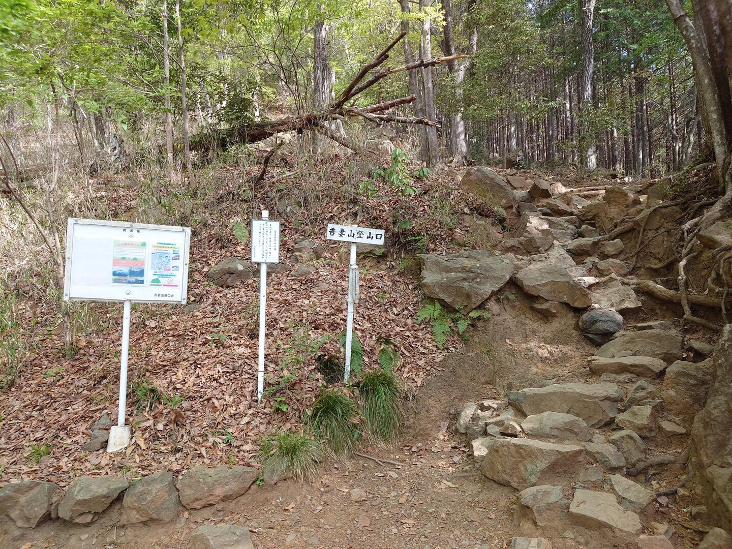 seironさんの投稿したフィールドメモ | YAMAP / ヤマップ