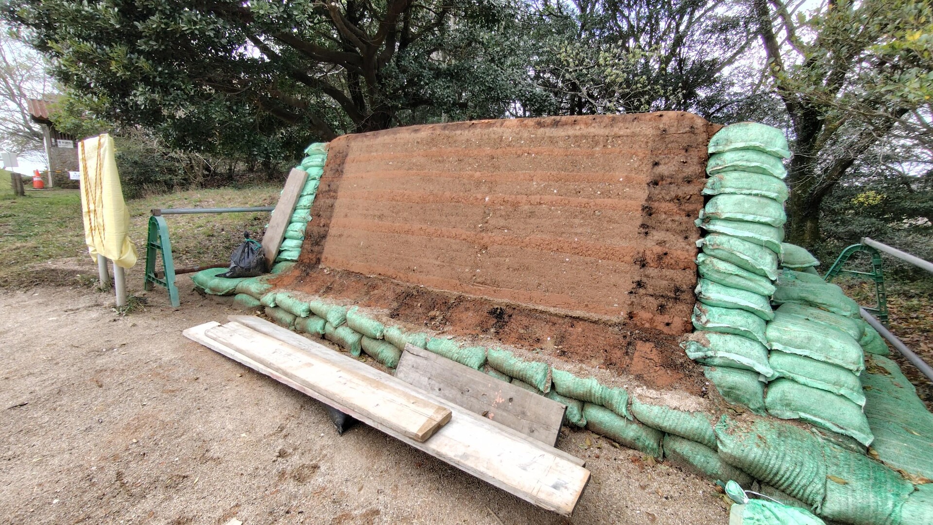 桜 仕舞い / クーネルワフさんの四王寺山・大城山・大原山の活動データ | YAMAP / ヤマップ