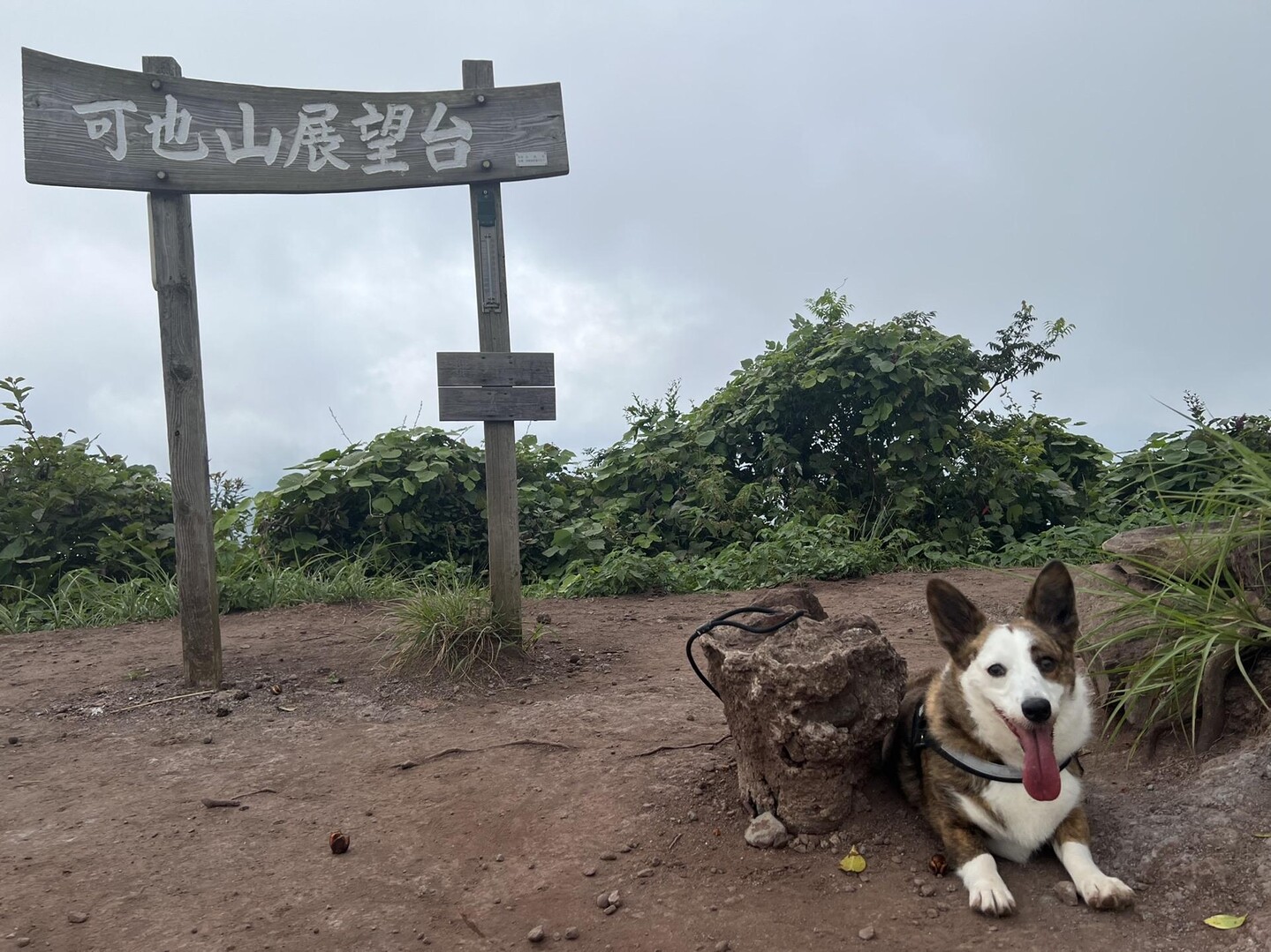 可也山 / YASUKO 127さんの可也山の活動データ | YAMAP / ヤマップ