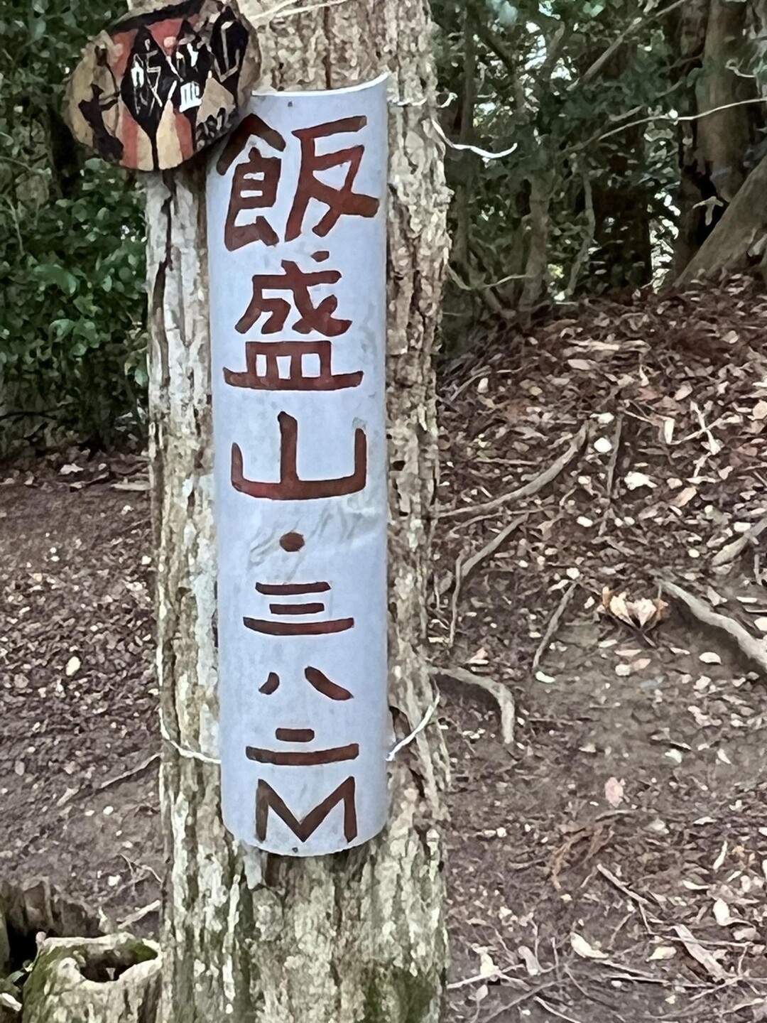 飯盛山・日向山 / カワセミさんの高祖山・飯盛山・叶岳の活動データ | YAMAP / ヤマップ