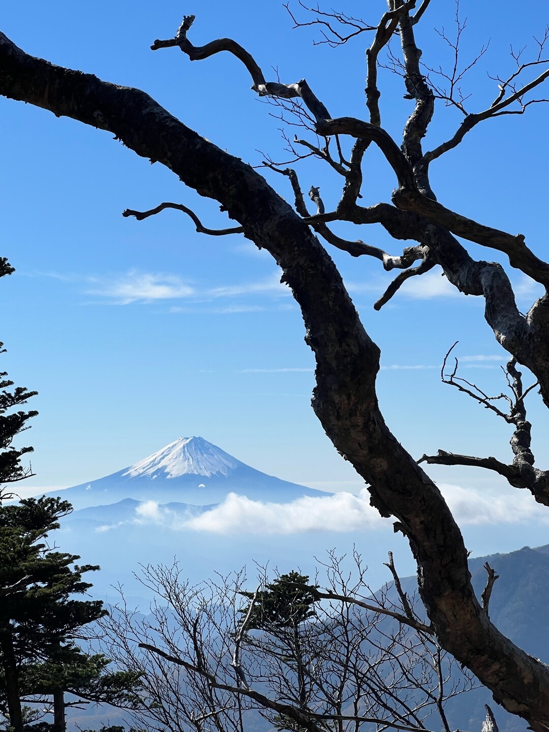 木賊山・甲武信ヶ岳 / kensukeさんの甲武信ヶ岳の活動データ | YAMAP / ヤマップ