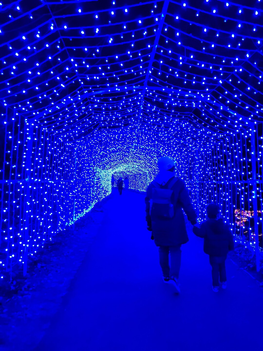 【さがみ湖リゾートプレジャーフォレスト】... / 静吉＠Channelさんのモーメント | YAMAP / ヤマップ