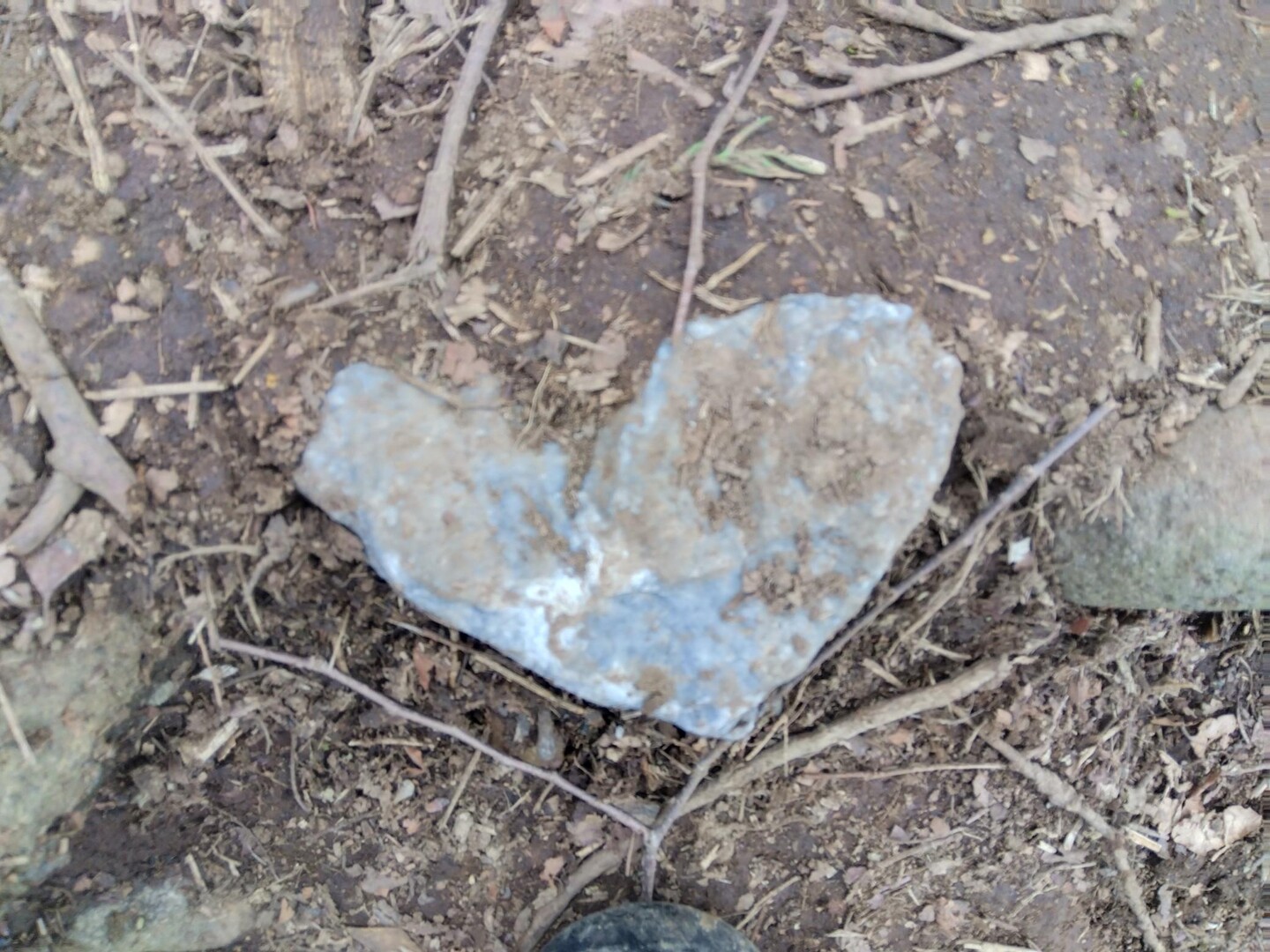 新しいコース開拓🆕 / shino-puさんの角田山の活動データ | YAMAP / ヤマップ