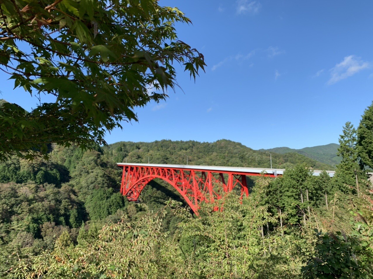 今朝のオロチループ快晴☀️ 今日は山登り... / ありsunさんのモーメント | YAMAP / ヤマップ