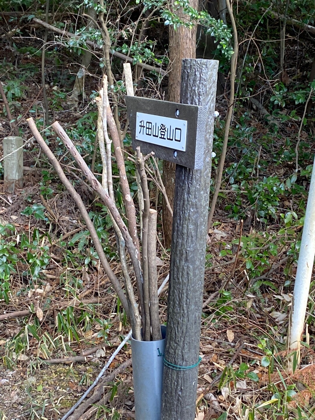 haruさんの投稿したフィールドメモ | YAMAP / ヤマップ