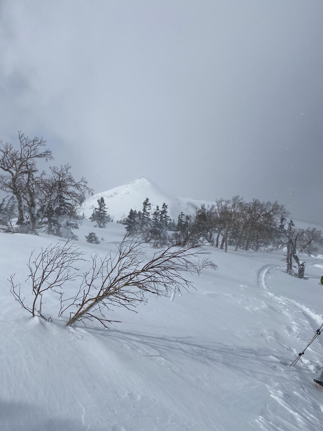 茶臼岳BC / せいいち・もんきーまんさんの岩手山・八幡平・安比高原 50km トレイルの活動データ | YAMAP / ヤマップ