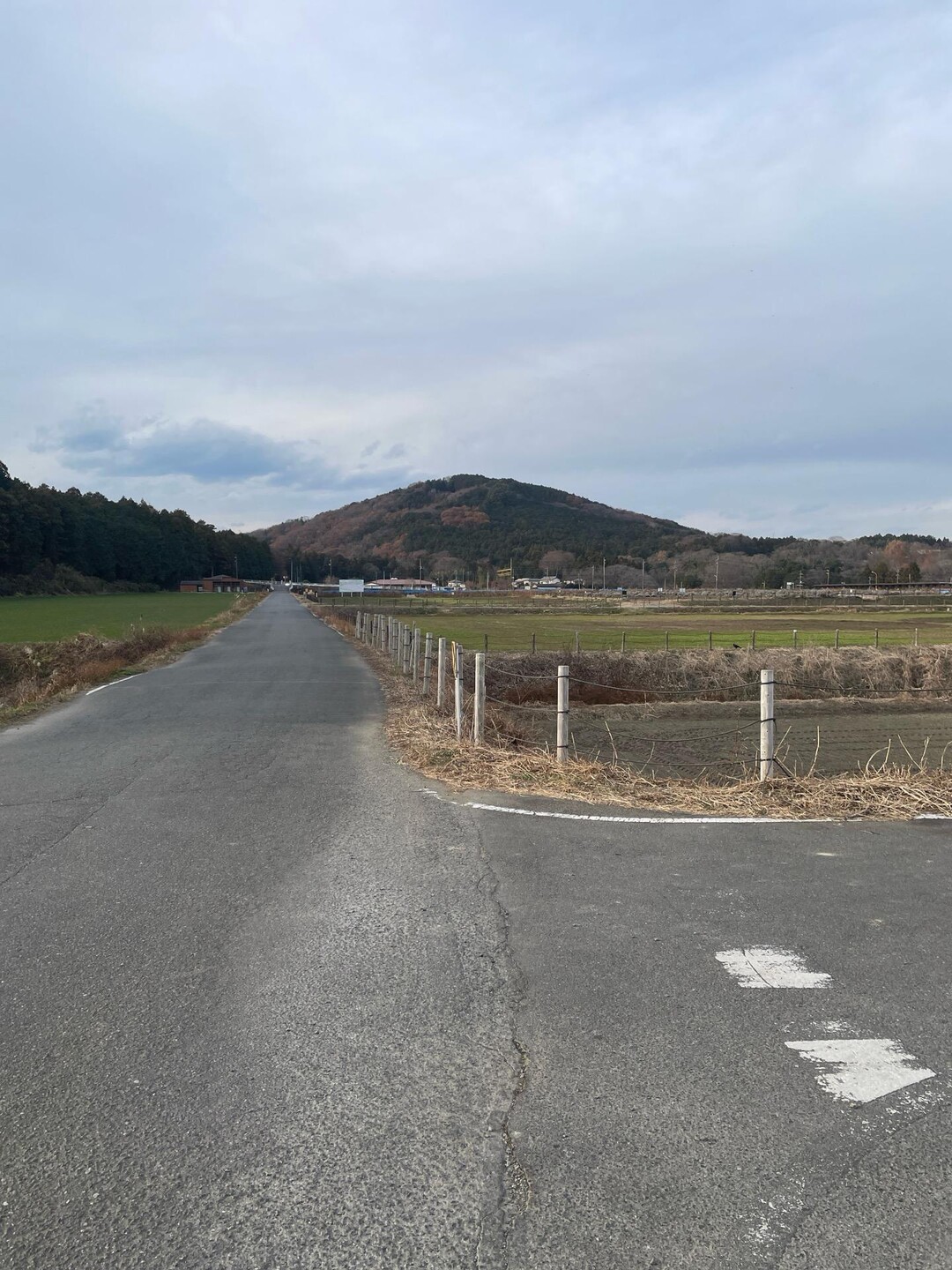 大平山・正山 / kozyさんの武蔵嵐山・大平山・仙元山の活動データ | YAMAP / ヤマップ