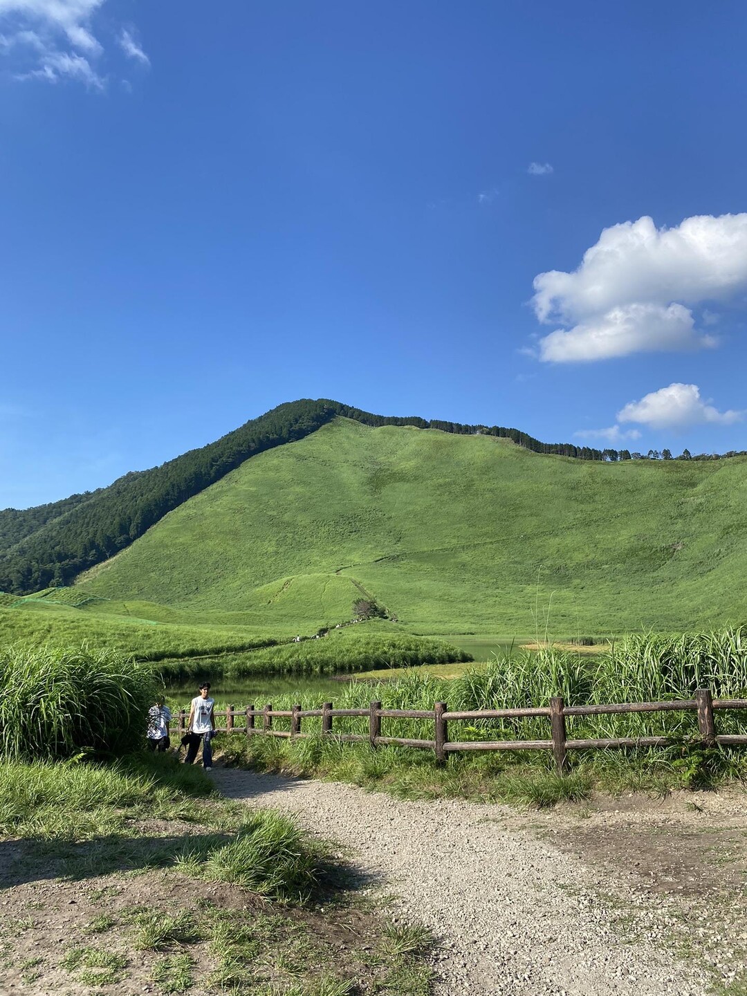 曽爾高原 / yukie🌿さんの倶留尊山・曽爾高原・古光山の活動データ | YAMAP / ヤマップ