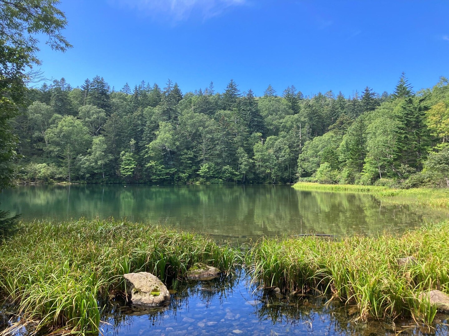 空沼岳 / yutaさんの札幌岳・空沼岳の活動データ | YAMAP / ヤマップ