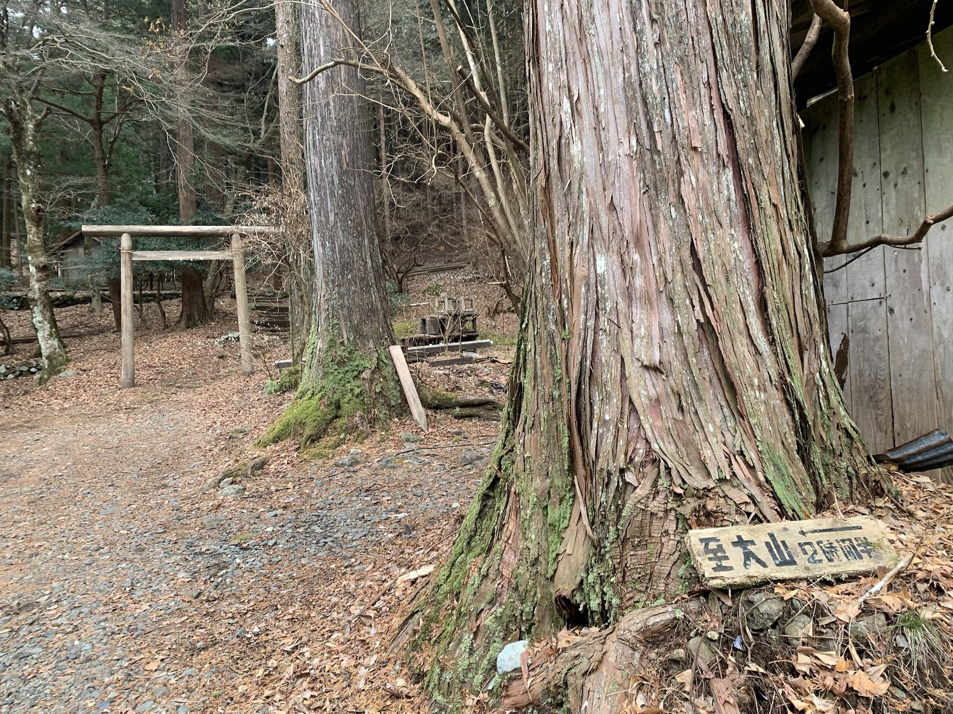 金比羅尾根の大冒険🥾 / ryuさんの大山の活動データ | YAMAP / ヤマップ